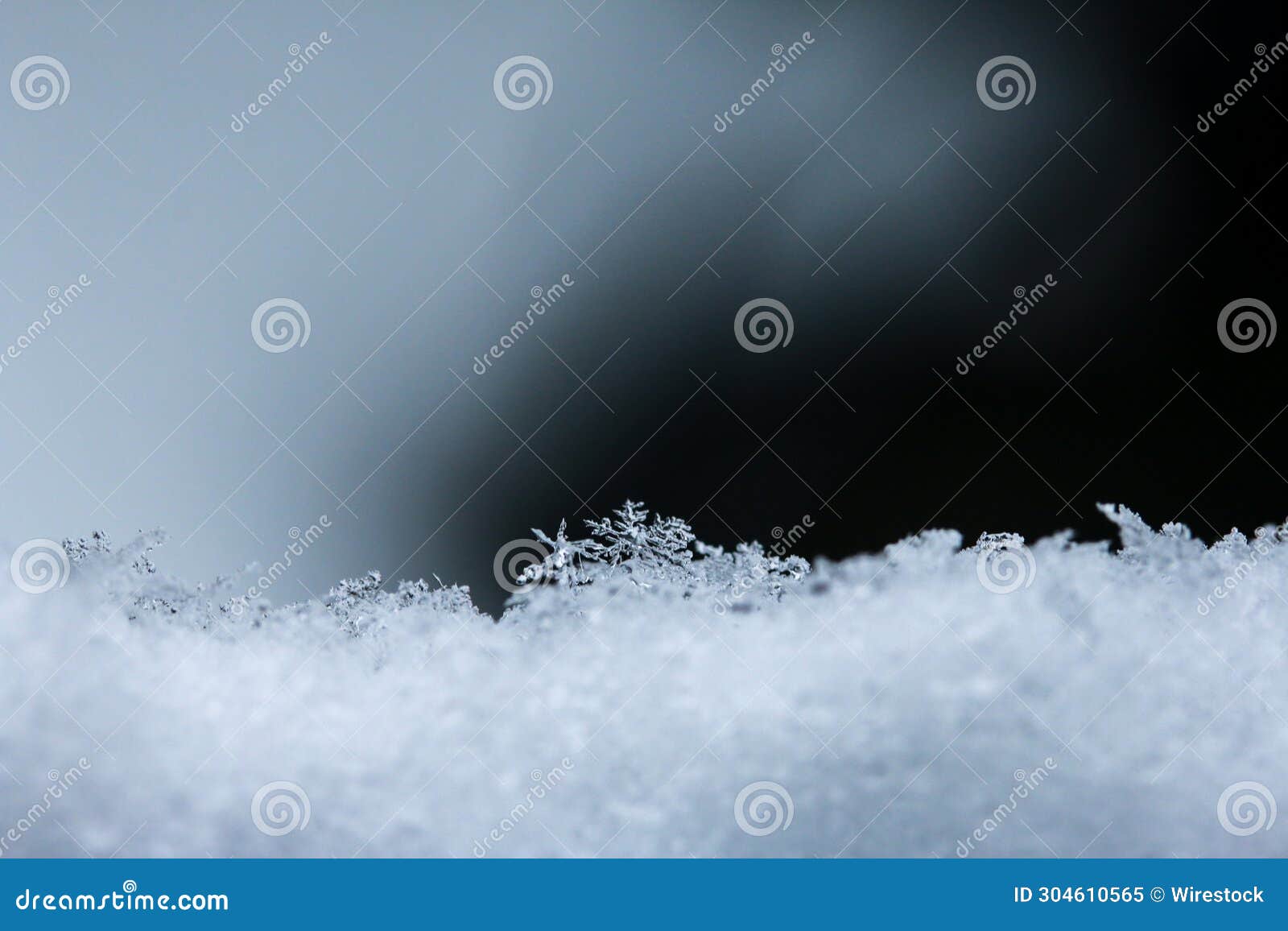 Singular Perfect Toadstool Mushroom Inside Forest Royalty-Free Stock ...