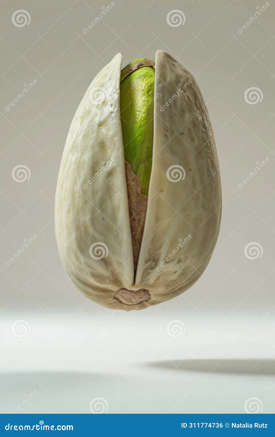 A Singular Pistachio Stands Vertically, Poised and Split Stock Photo ...