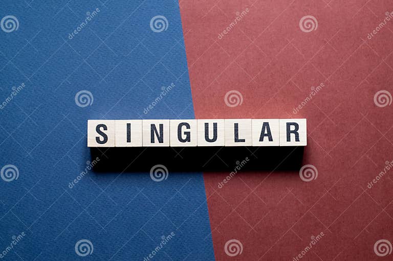 Singular Word Concept on Cubes Stock Image - Image of science, noun ...
