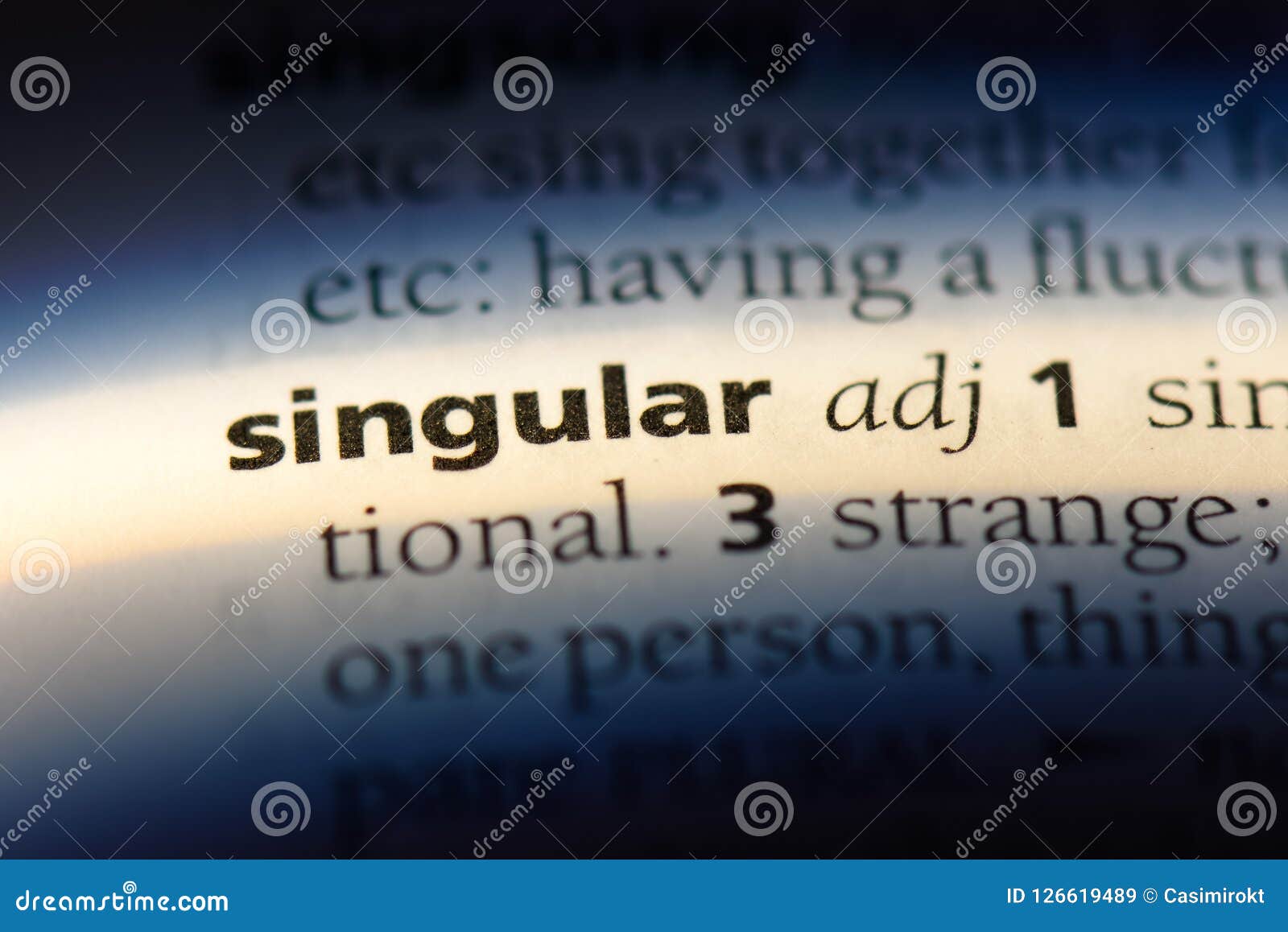Singular stock image. Image of info, word, dictionary - 126619489