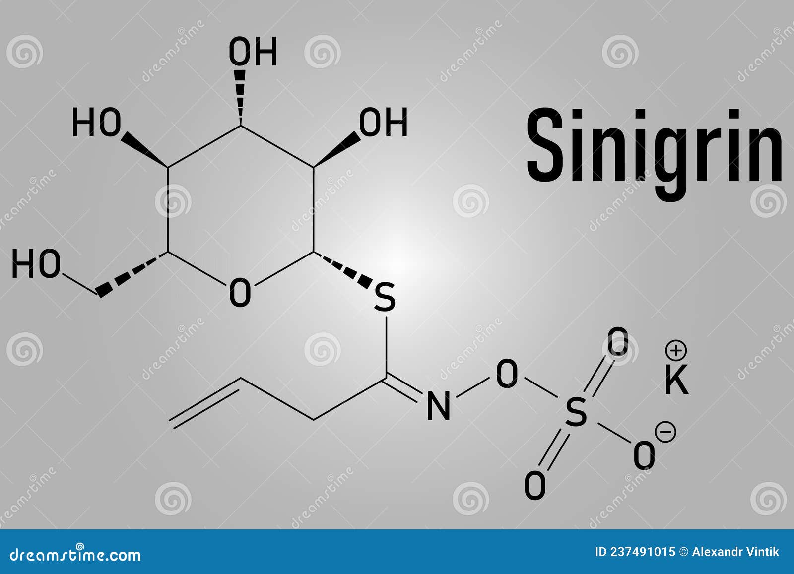 Sinigrin Glucosinolate Molecule. Skeletal Formula. Chemical Structure ...