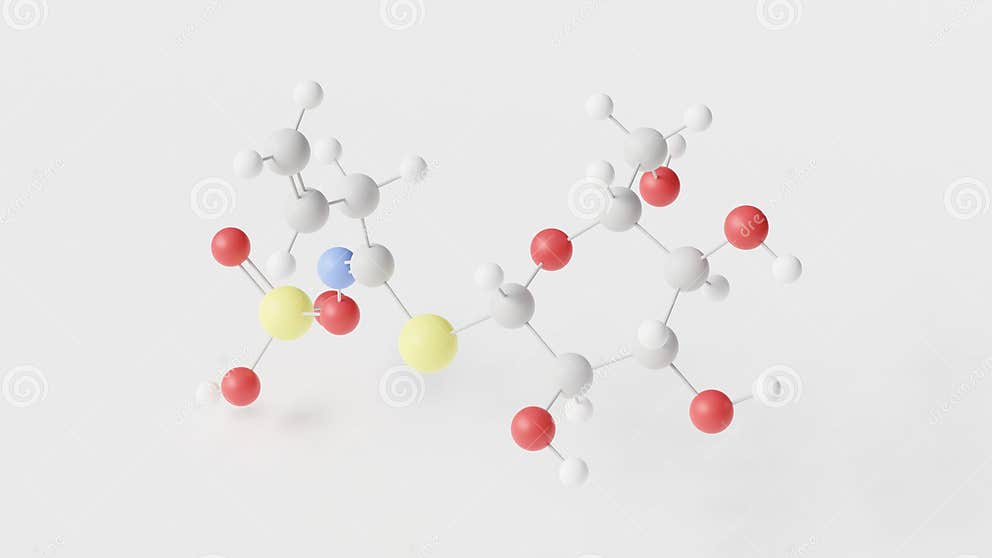 Sinigrin Molecule 3d, Molecular Structure, Ball and Stick Model ...