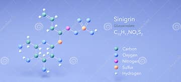 Sinigrin Molecule, Molecular Structures, Allyl Glucosinolate, 3d Model ...