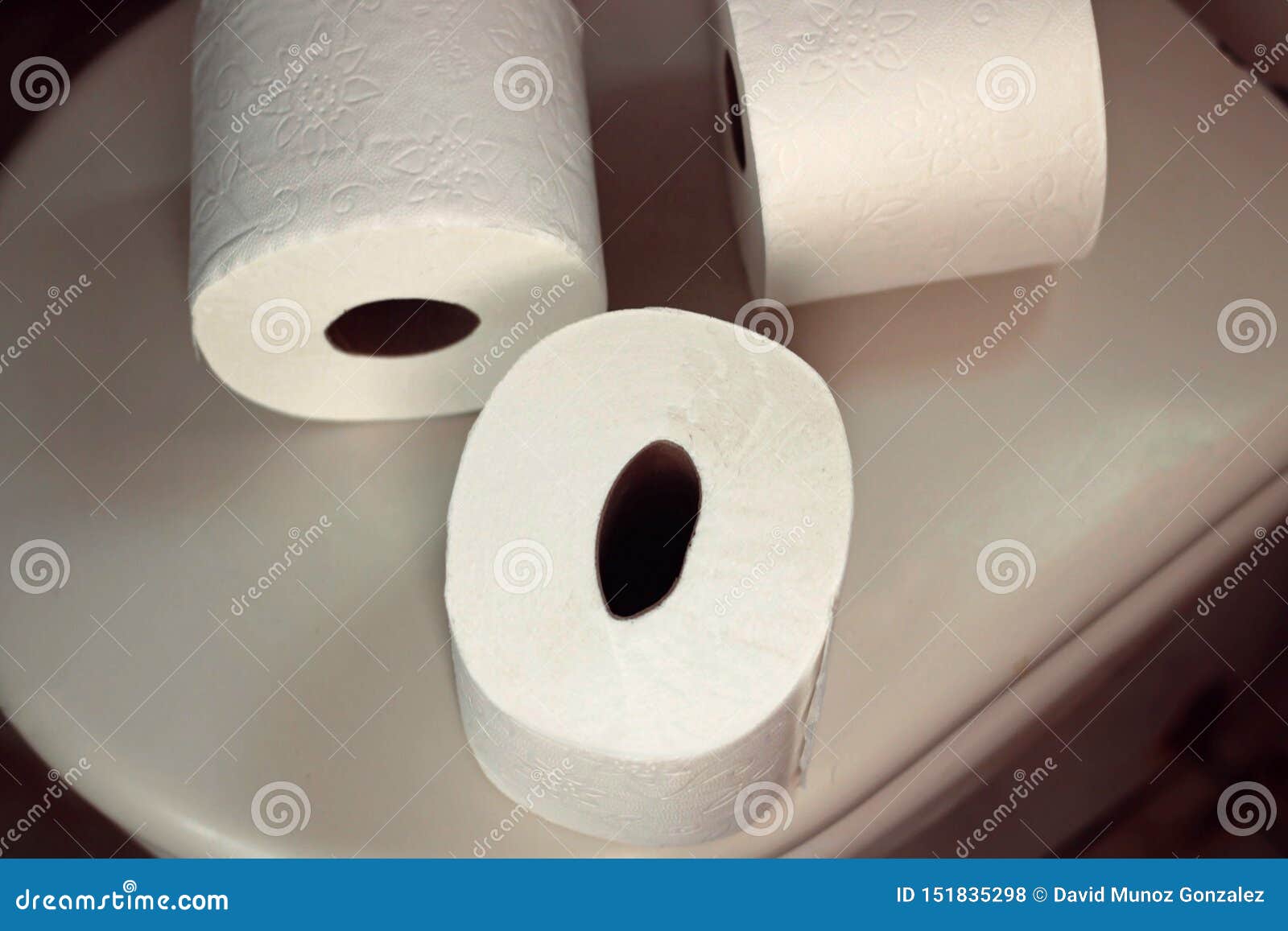 Sink with Rolls of Toilet Paper. Stock Photo - Image of roll, restroom ...