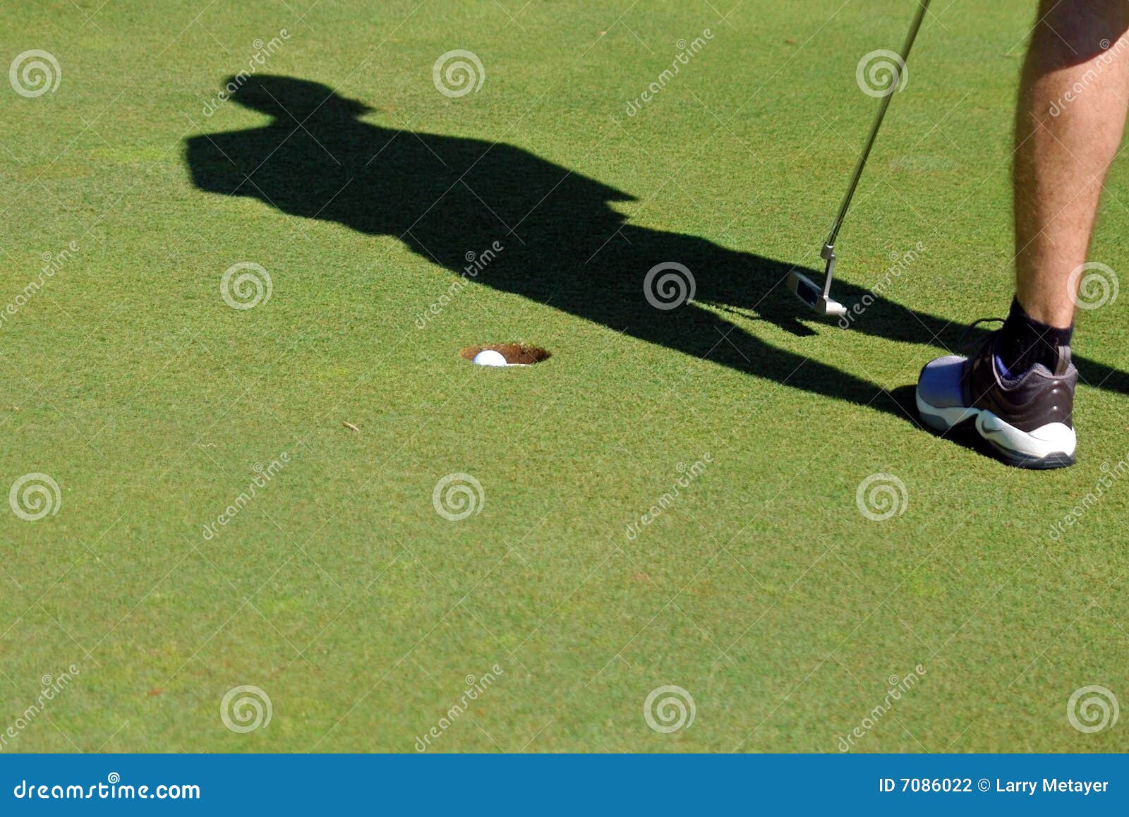 Sinking a Putt stock photo. Image of golfers, ball, golfing - 7086022