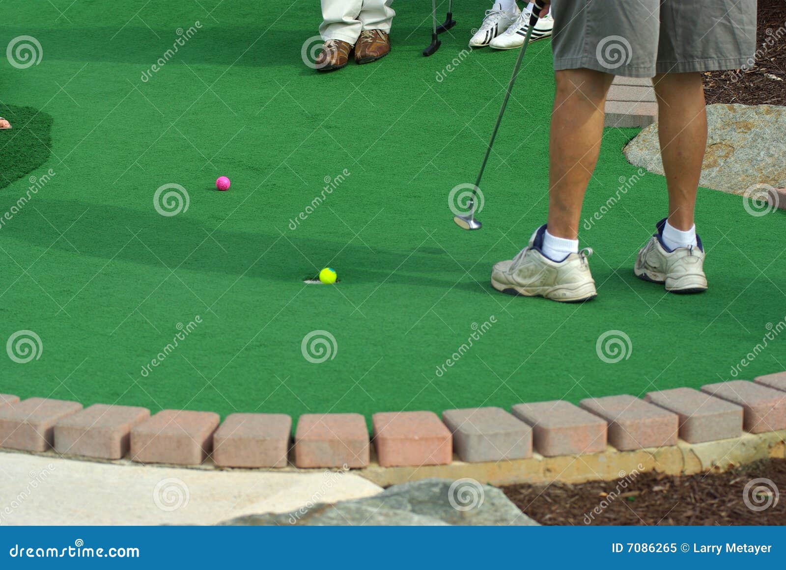 Golfer Sinking A Long Putt Royalty-Free Stock Photography ...