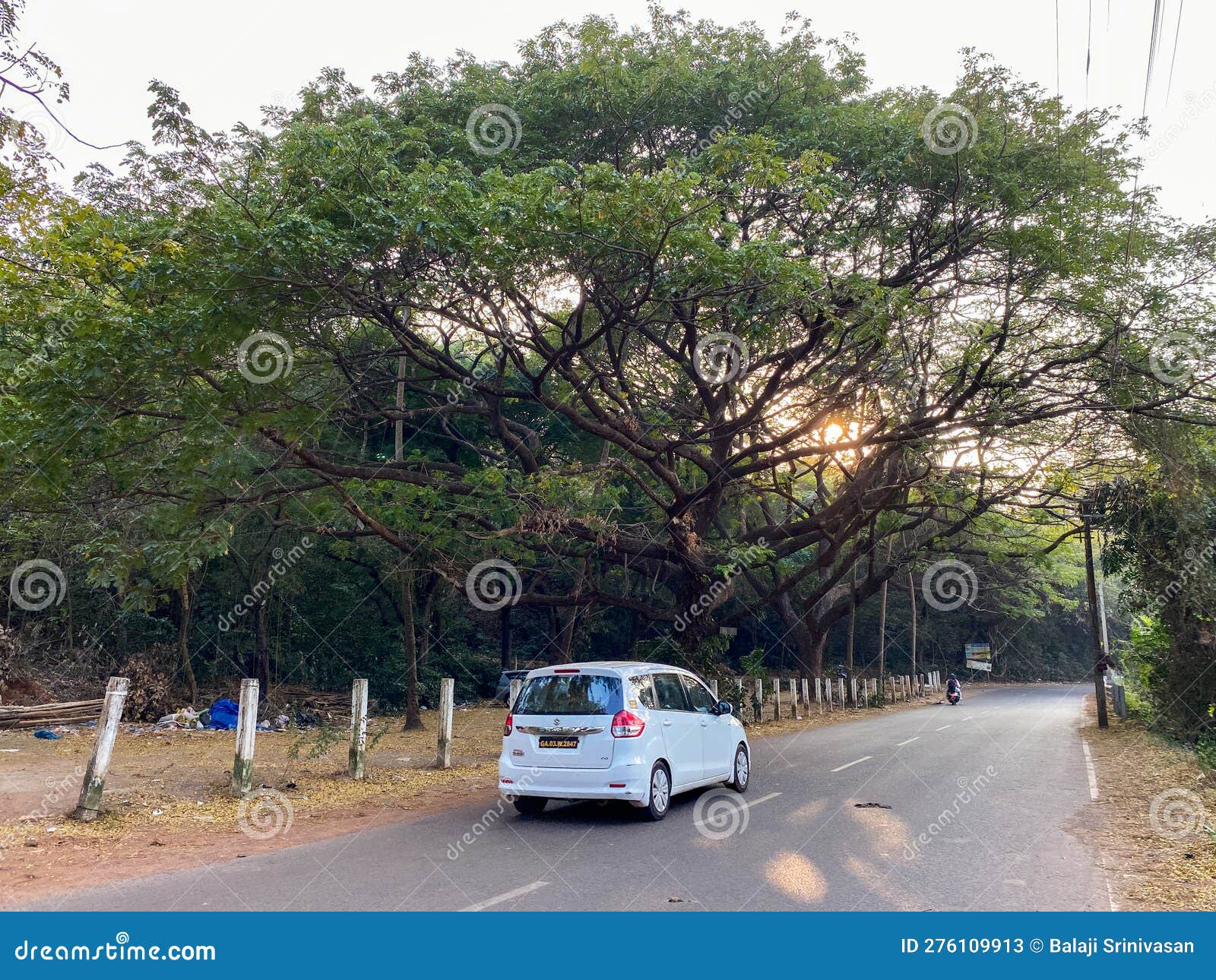 A Car Driving Down a Tree Lined Road at Sunset in Rural Goa Editorial ...