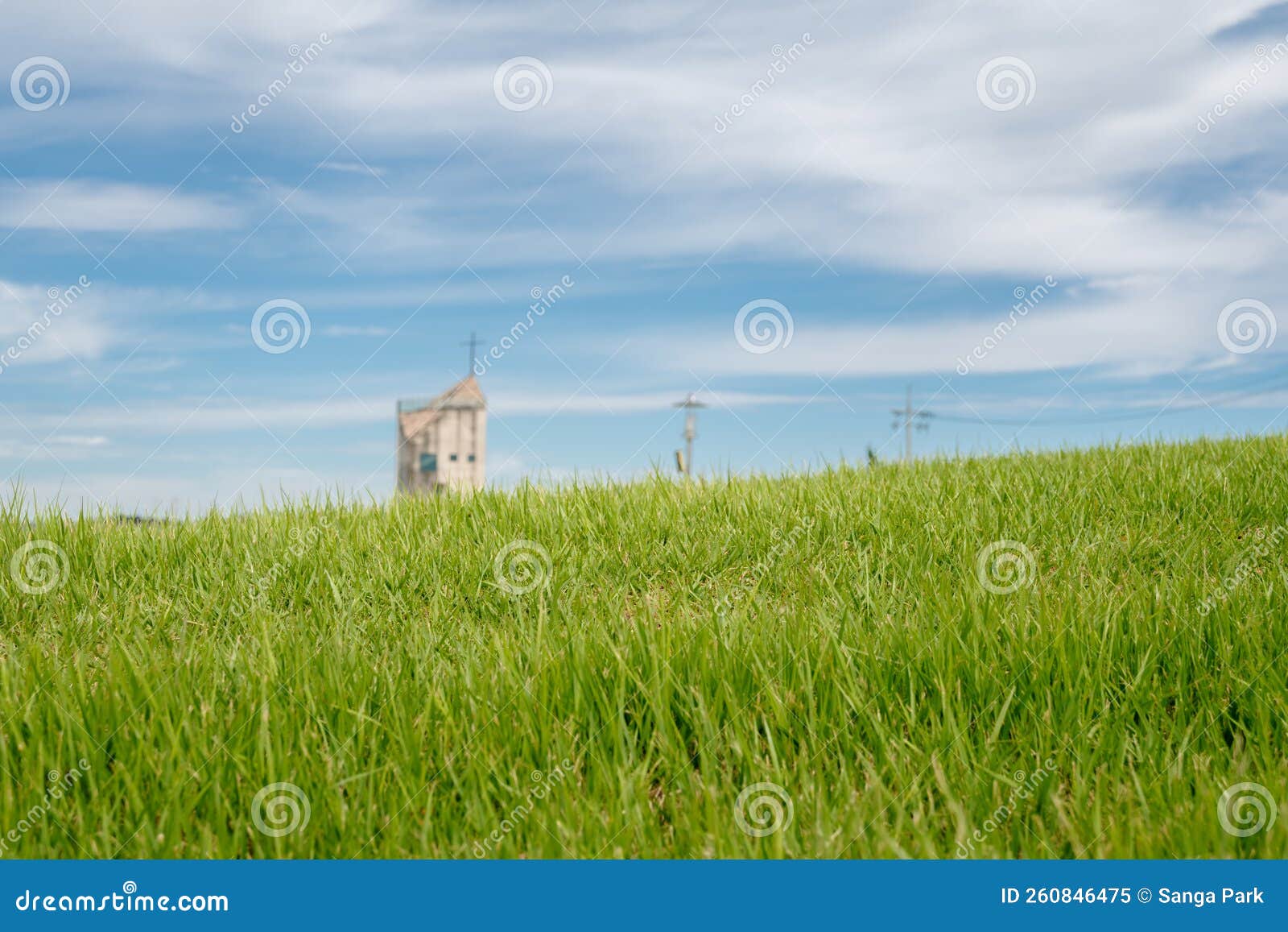 Sinri Shrine in Dangjin, Korea Editorial Image - Image of focus, nature ...
