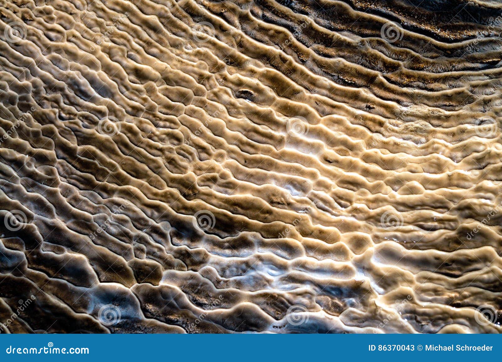 Sinter bulge at a geyser stock image. Image of geyser - 86370043