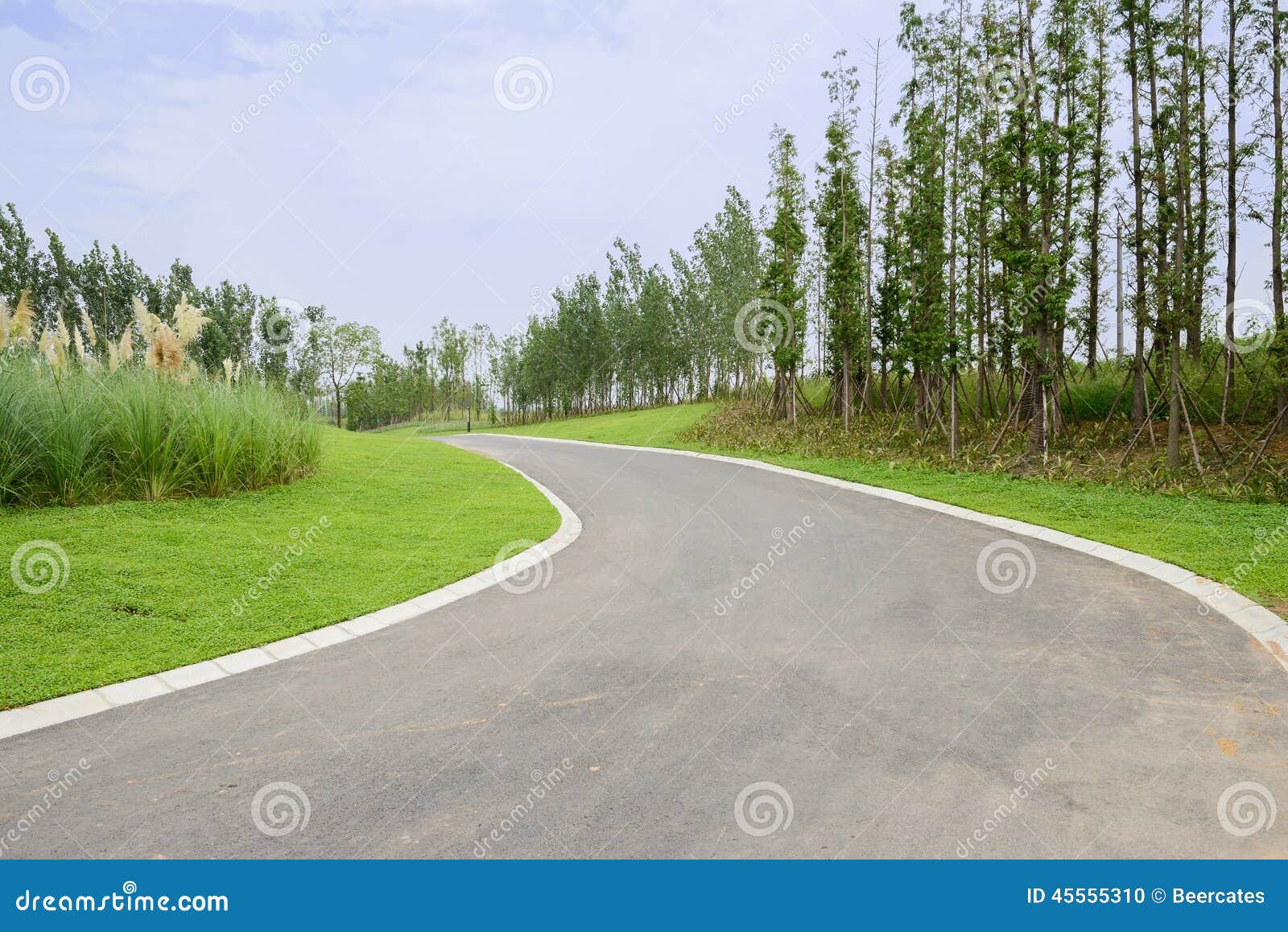 Sinuous Asphalt Road in Verdant Summer Plants on Sunny Day Stock Photo ...