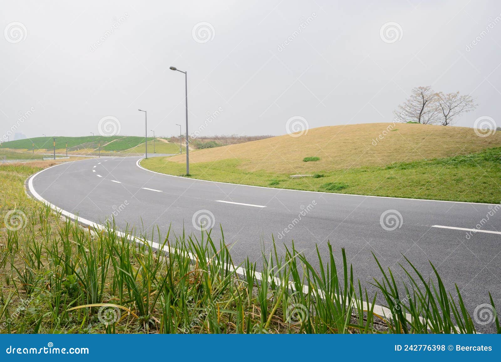 Sinuous Asphalted Road on Grassy Acclivity in Light Winter Mist Stock ...