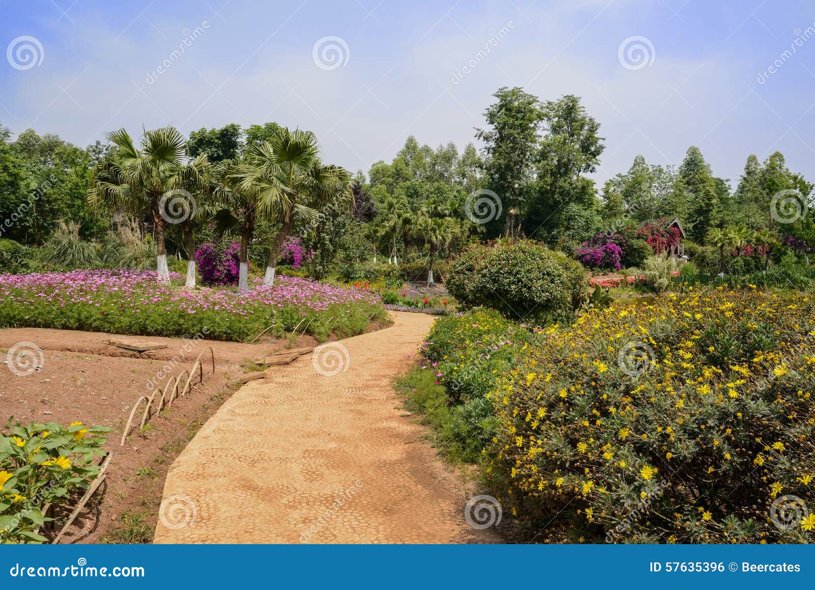 Sinuous Path in Flowers at Sunny Summer Noon Stock Photo - Image of ...