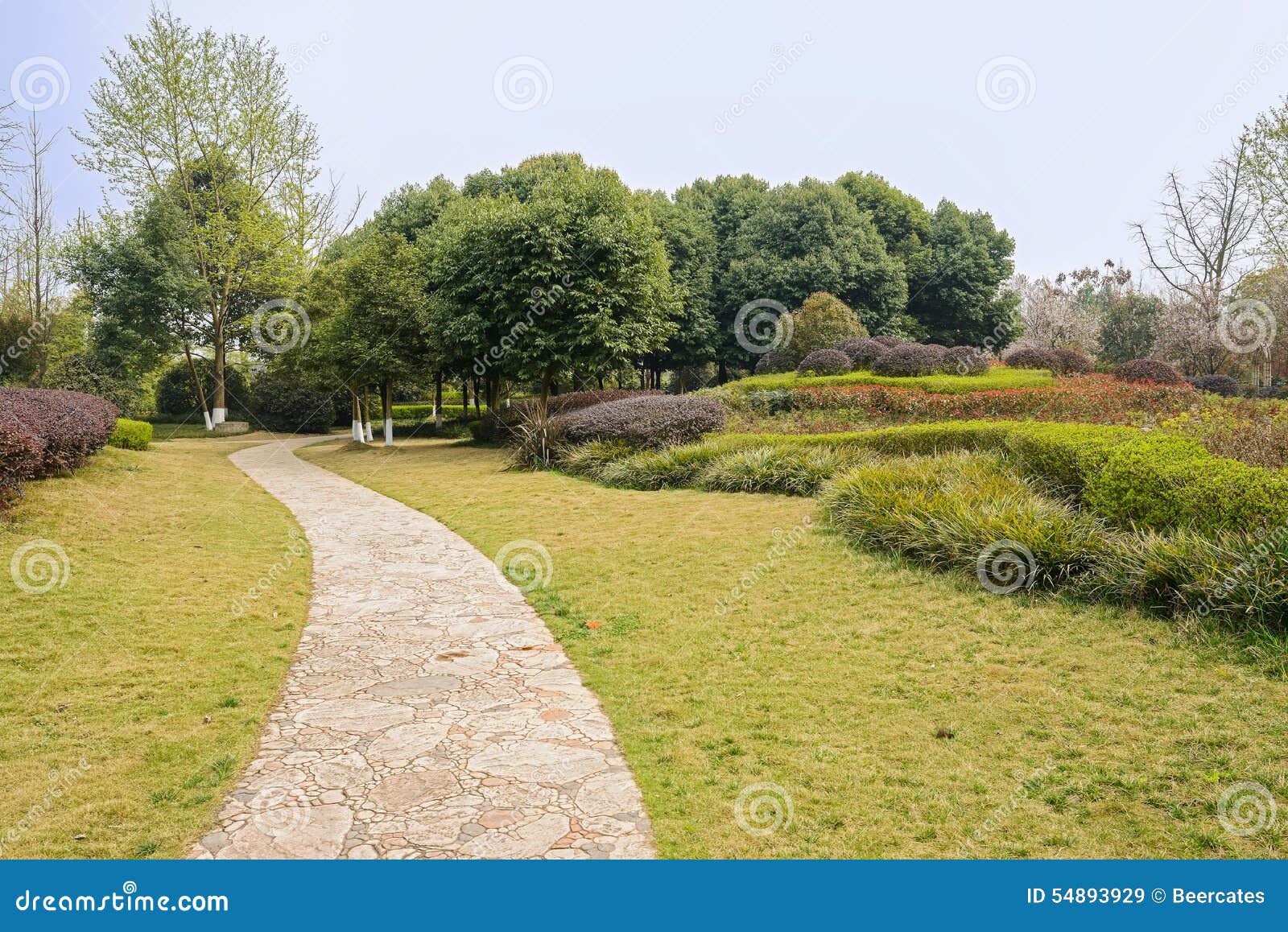 Sinuous Pavement in Verdant Spring Stock Image - Image of spring ...