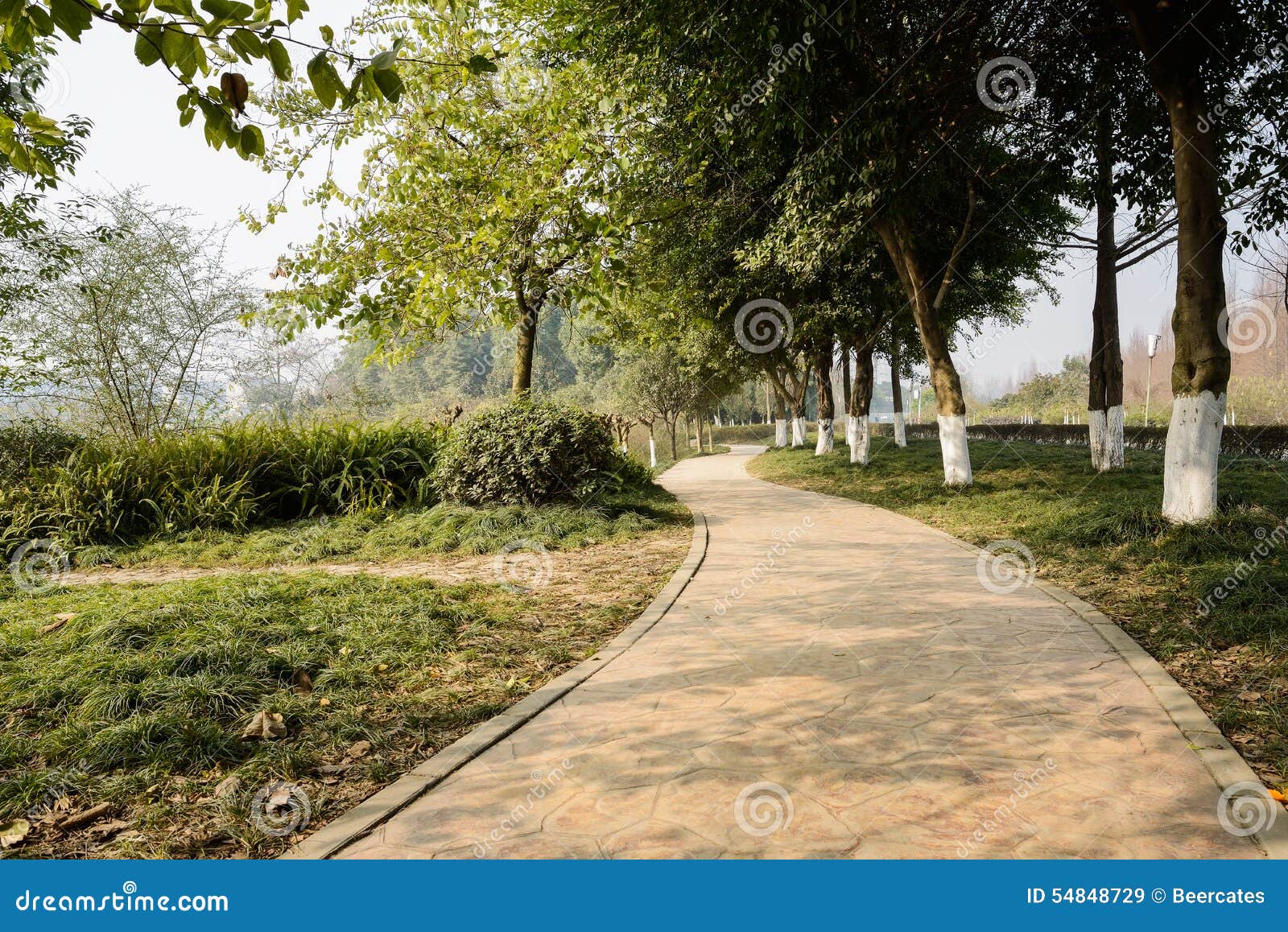 Sinuous Shady Pavement on Sunny Day Stock Image - Image of path, sunny ...