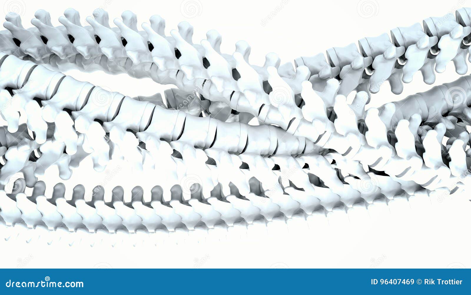 Sinuous Spines Abstract on White Stock Illustration - Illustration of ...