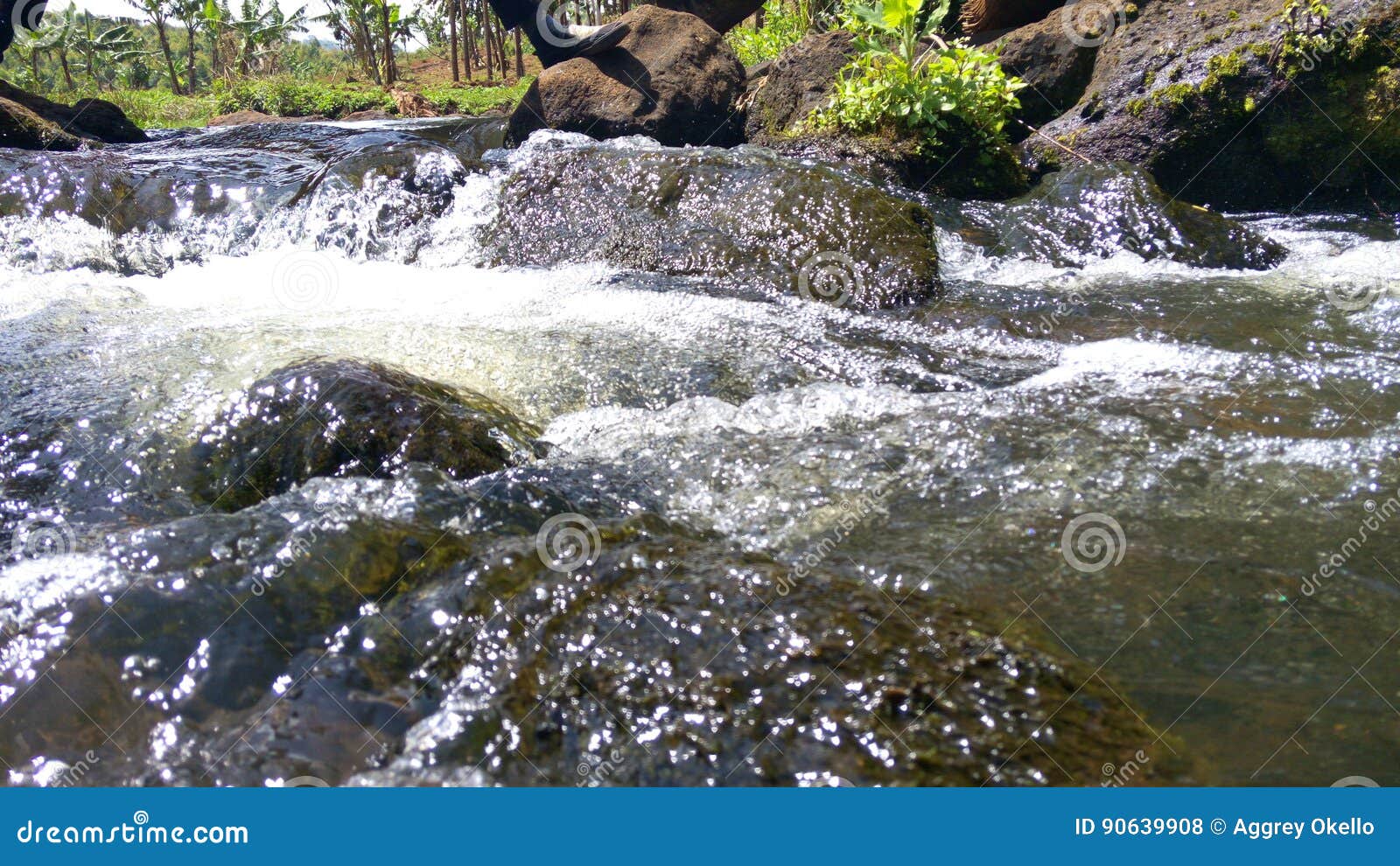 Sipi River stock photo. Image of calmness, great, river - 90639908