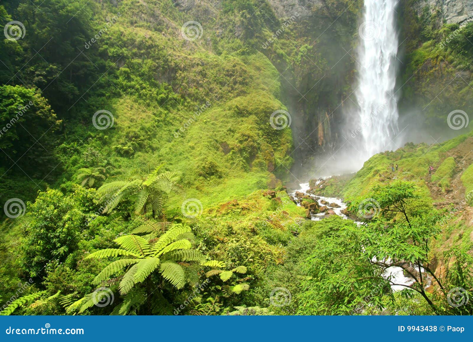 Sipisu Pisu Waterfall stock photo. Image of flow, northern - 9943438