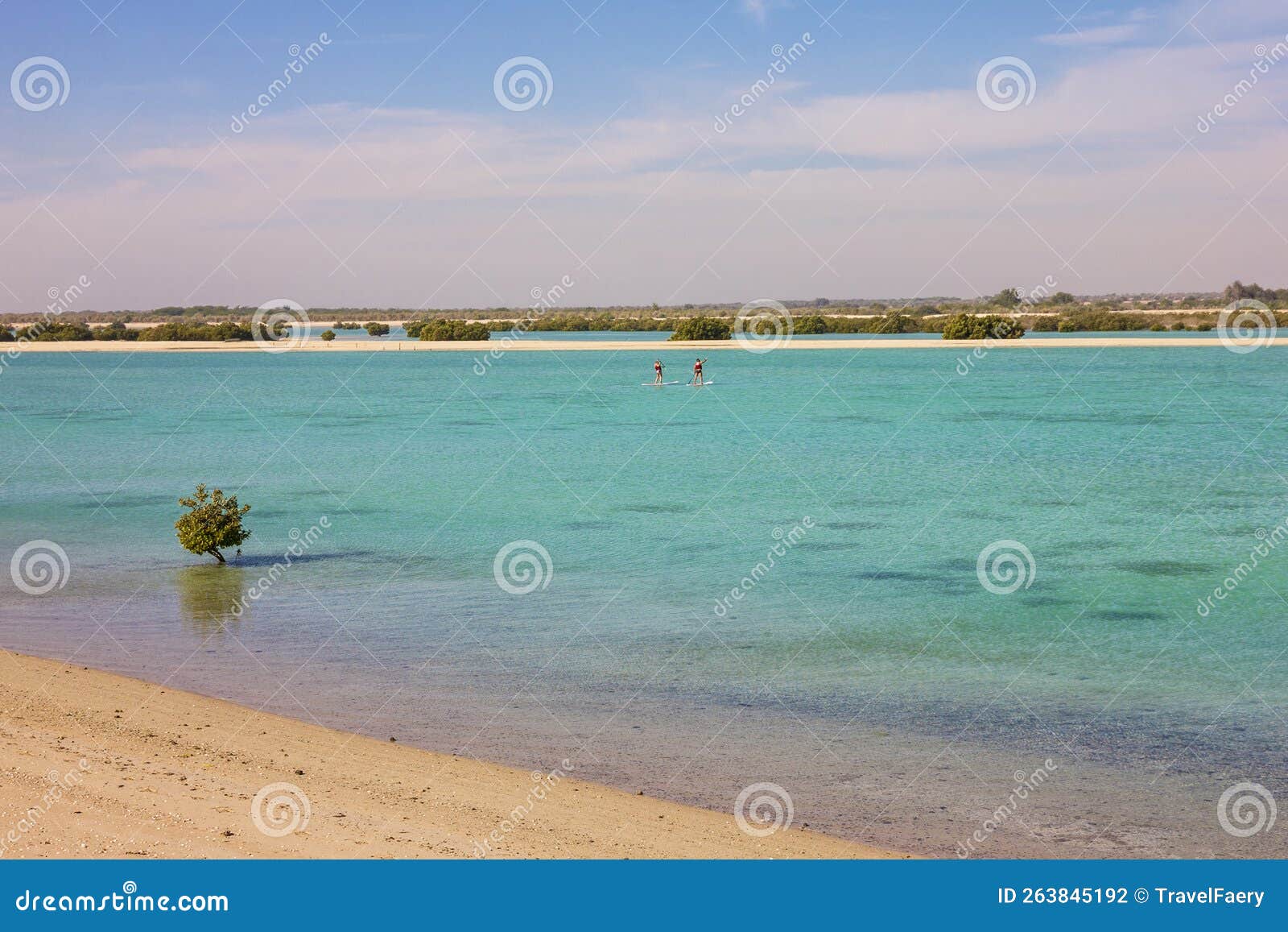Sir Bani Yas Island, Abu Dhabi, UAE Stock Photo - Image of recreation ...