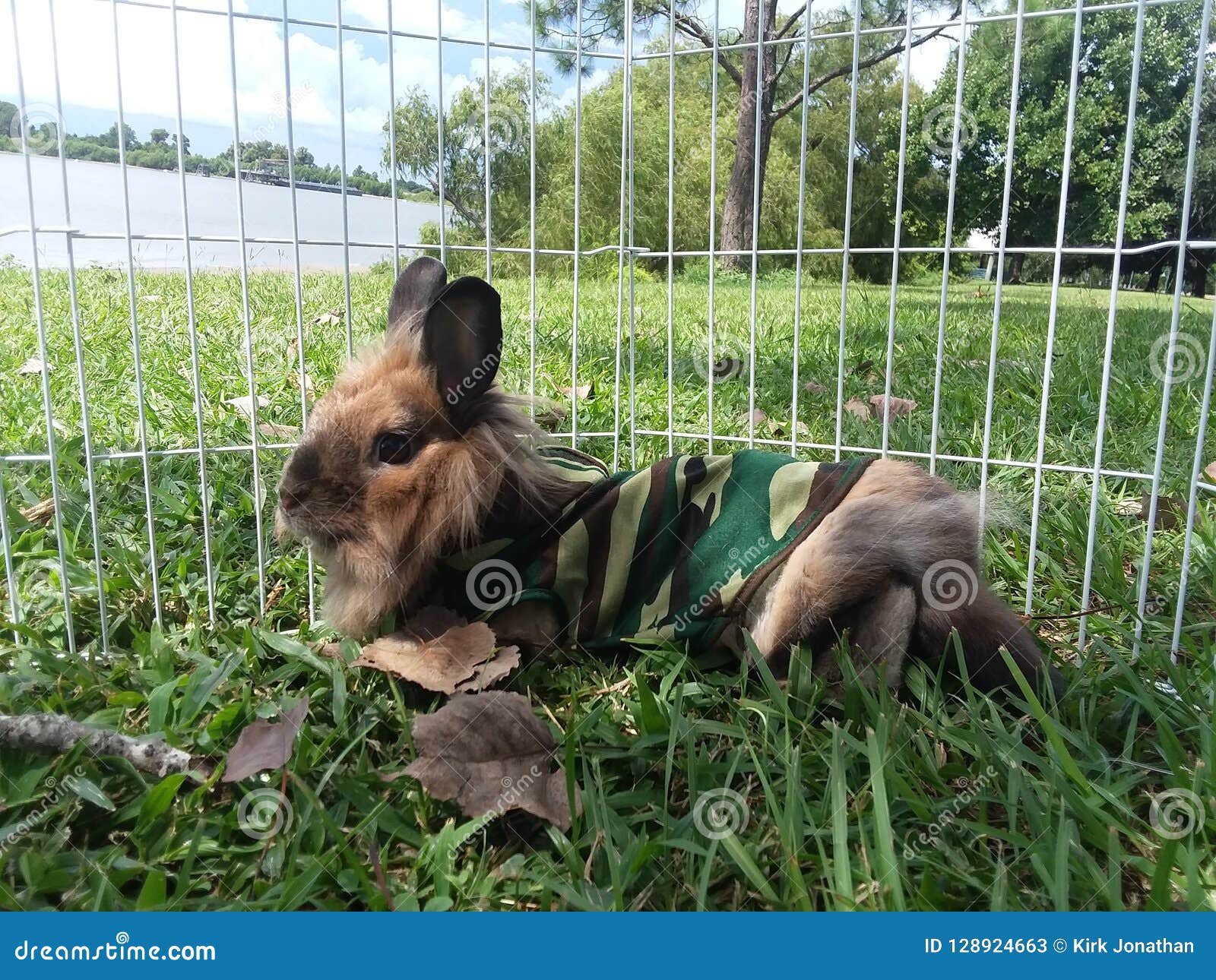 Sir Grumpy Thumps stock image. Image of thumps, grumpy - 128924663