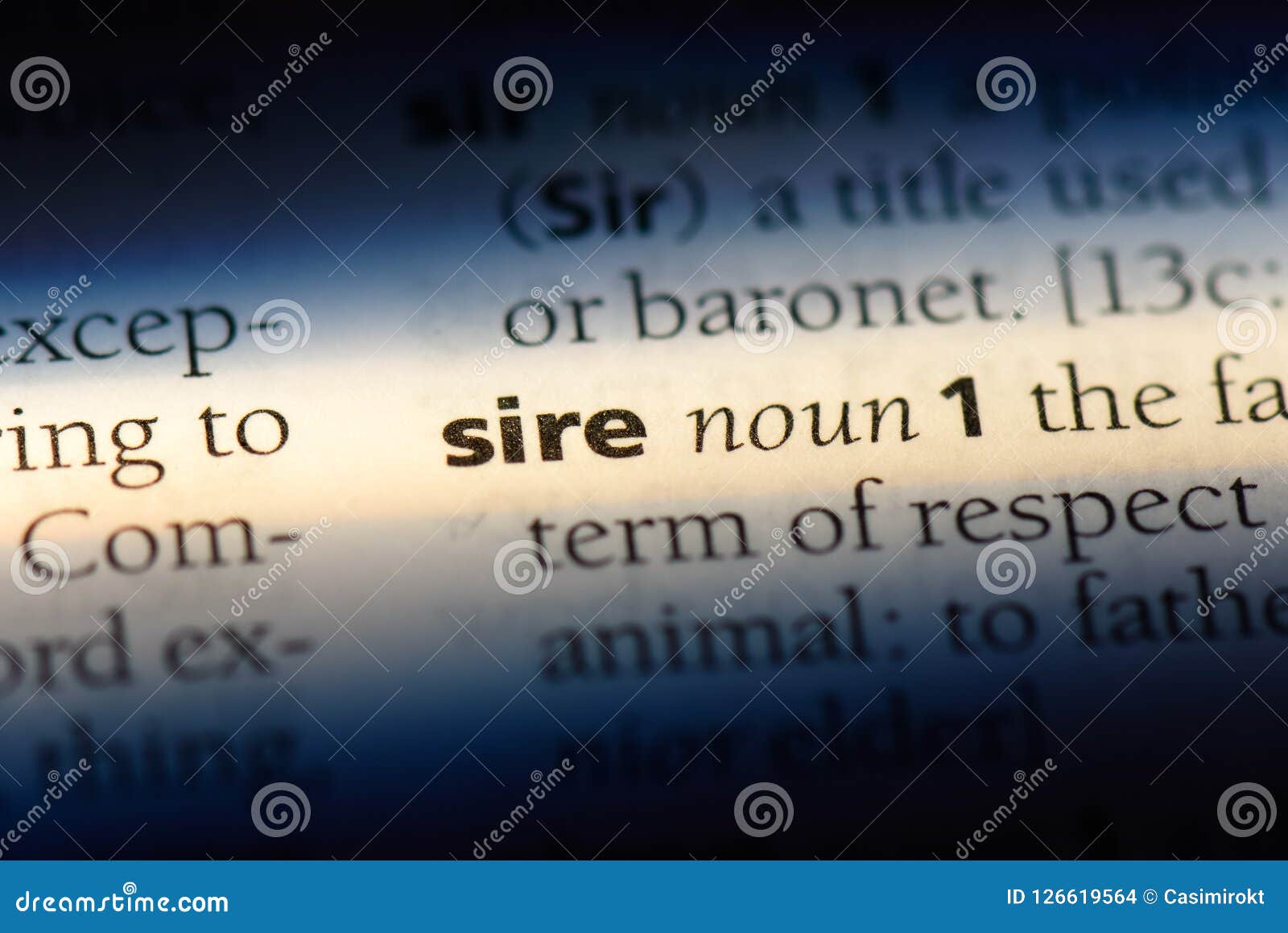Sire stock photo. Image of writing, page, book, dictionary - 126619564