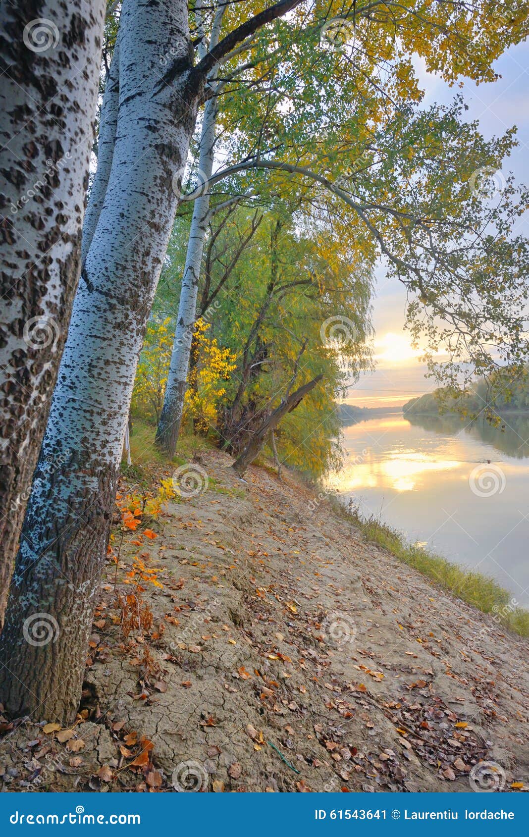 Siret River in Autumn Forest Stock Image - Image of fading, idyllic ...