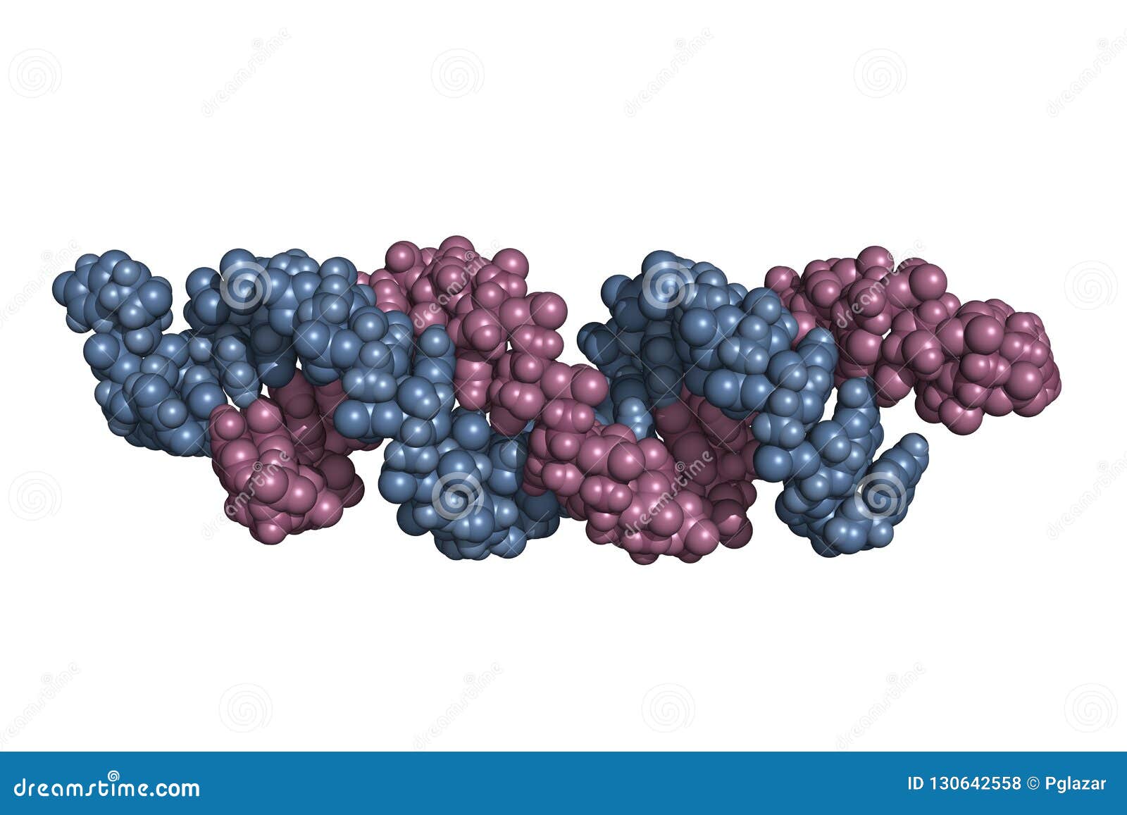 SiRNA:mRNA interaction stock illustration. Illustration of chemistry ... SiRNA:mRNA interaction stock illustration. Illustration of chemistry ...