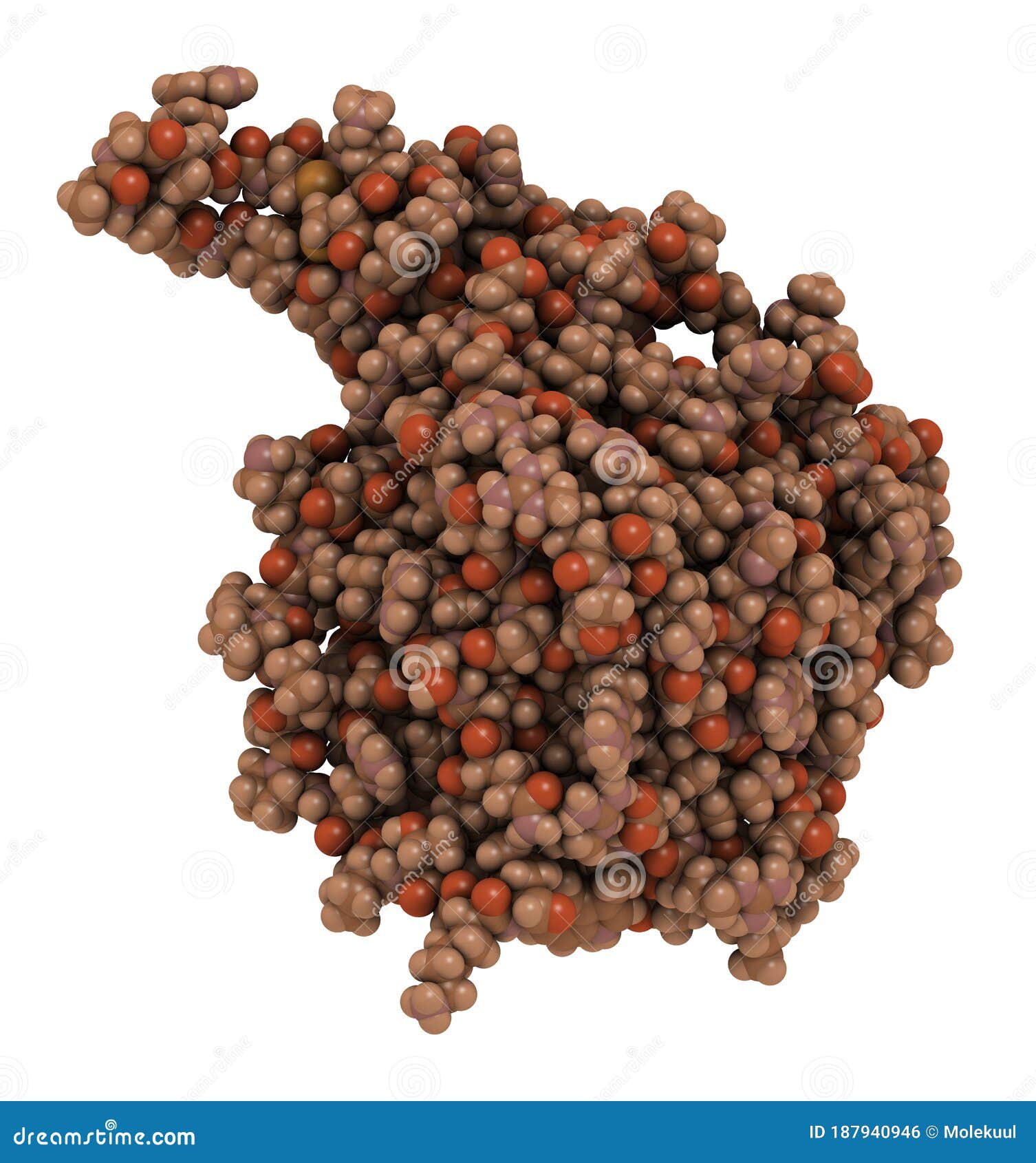 Sirtuin 6 SIRT6 Protein. Linked To Longevity in Mammals Stock Photo ...