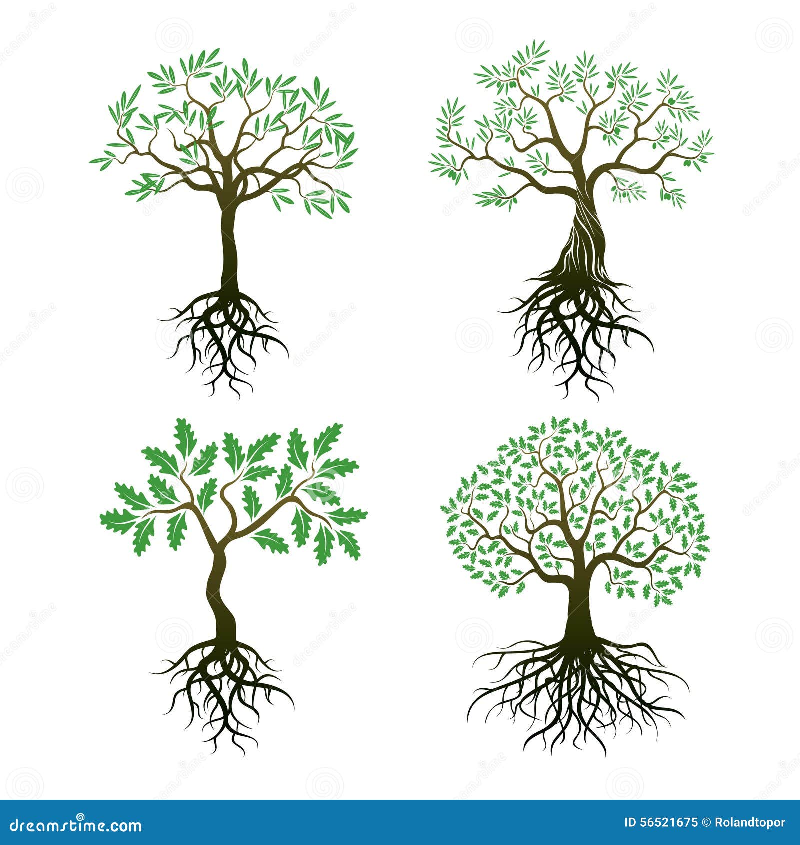 Sistema De árboles Y De Raíces Stock de ilustración - Ilustración de ...