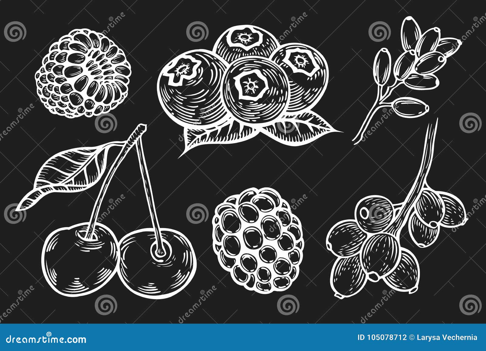 Sistema de Berry Hand ilustración del vector. Ilustración de fresa ...