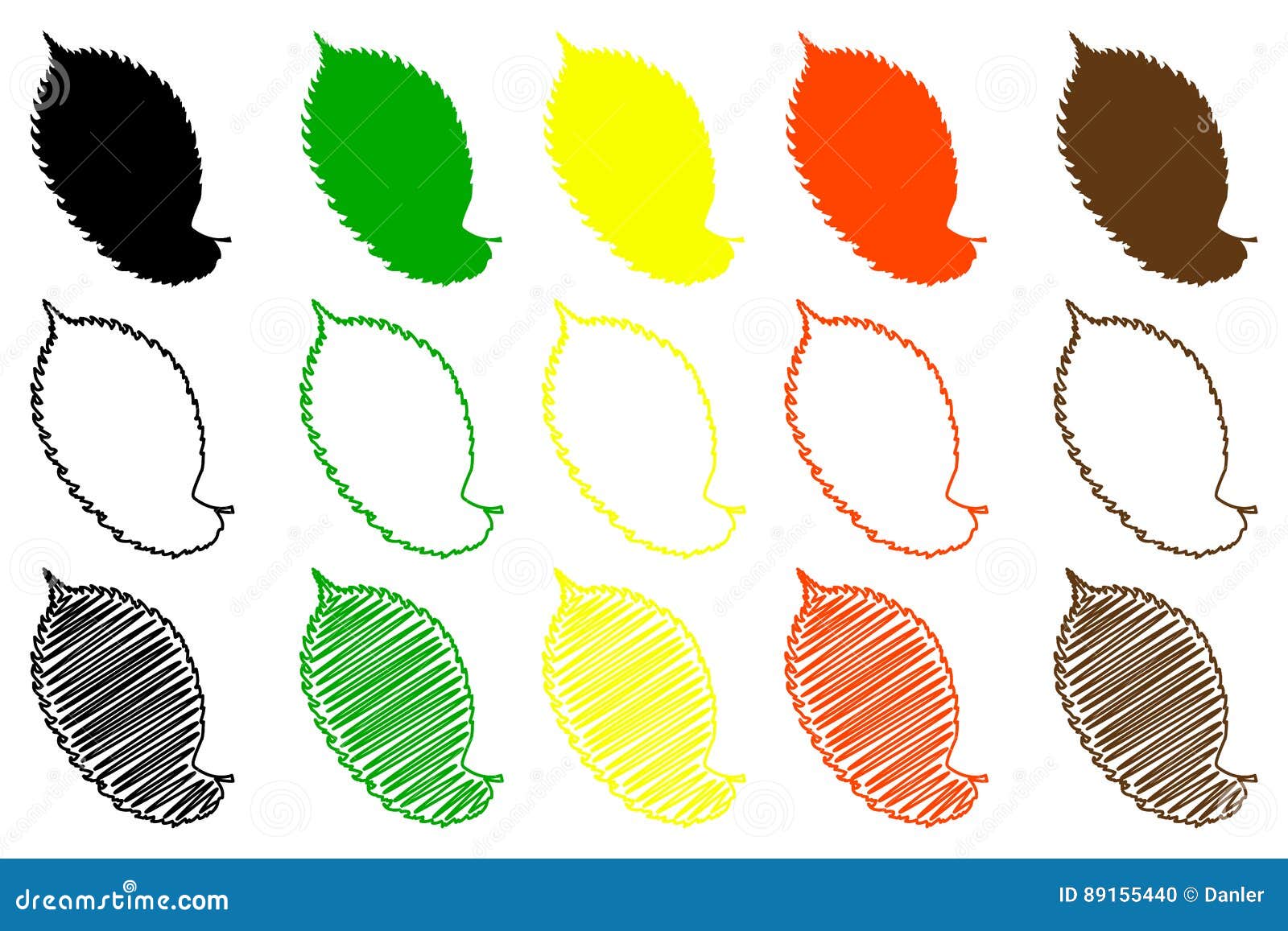 Sistema De Color De La Hoja Del Olmo Ilustración del Vector ...