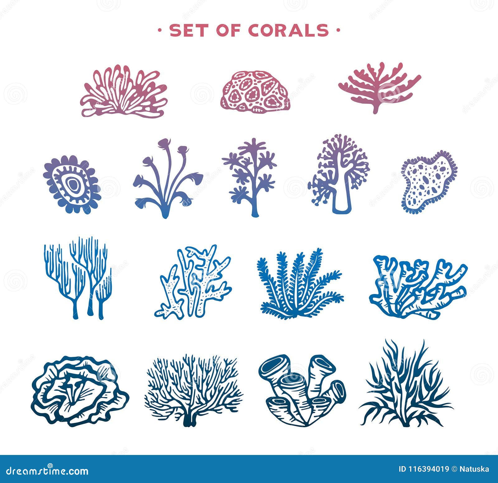 Sistema De Corales Del Vector Stock de ilustración - Ilustración de ...