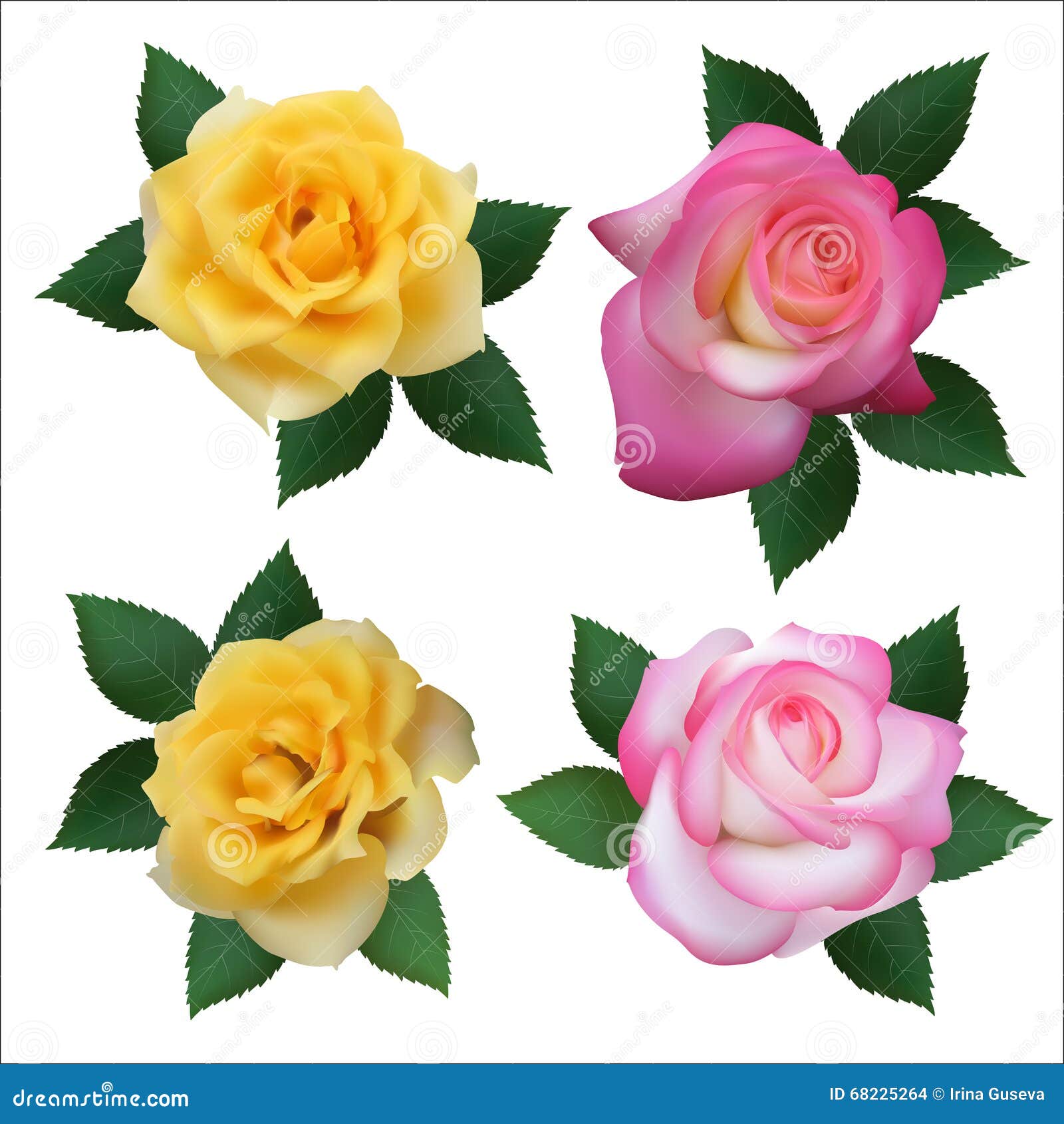 Sistema de cuatro rosas ilustración del vector. Ilustración de flor ...