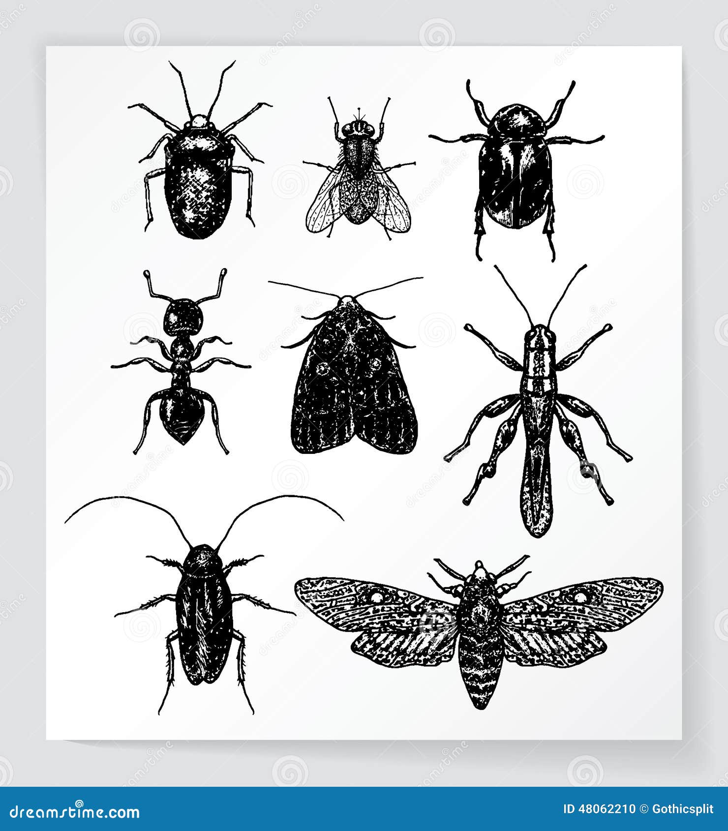 Sistema De Diversos Insectos E Insectos Ilustración del Vector ...