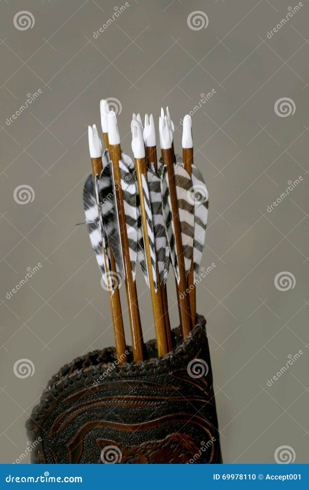 Sistema De Flechas En Un Estremecimiento Medieval Foto de archivo ...