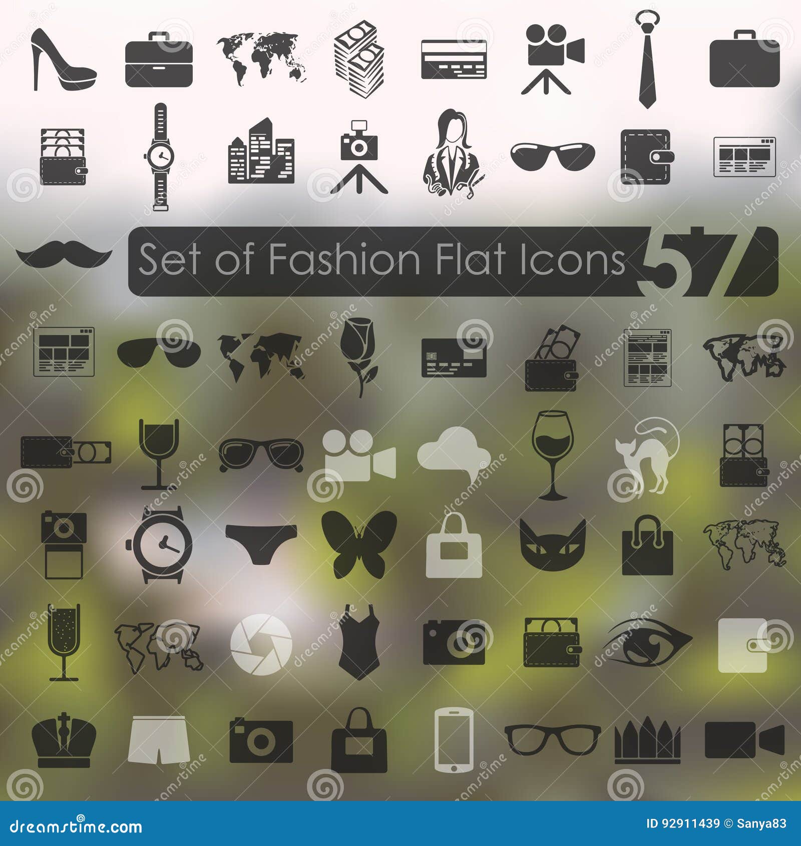 Sistema De Iconos De La Moda Ilustración del Vector - Ilustración de ...
