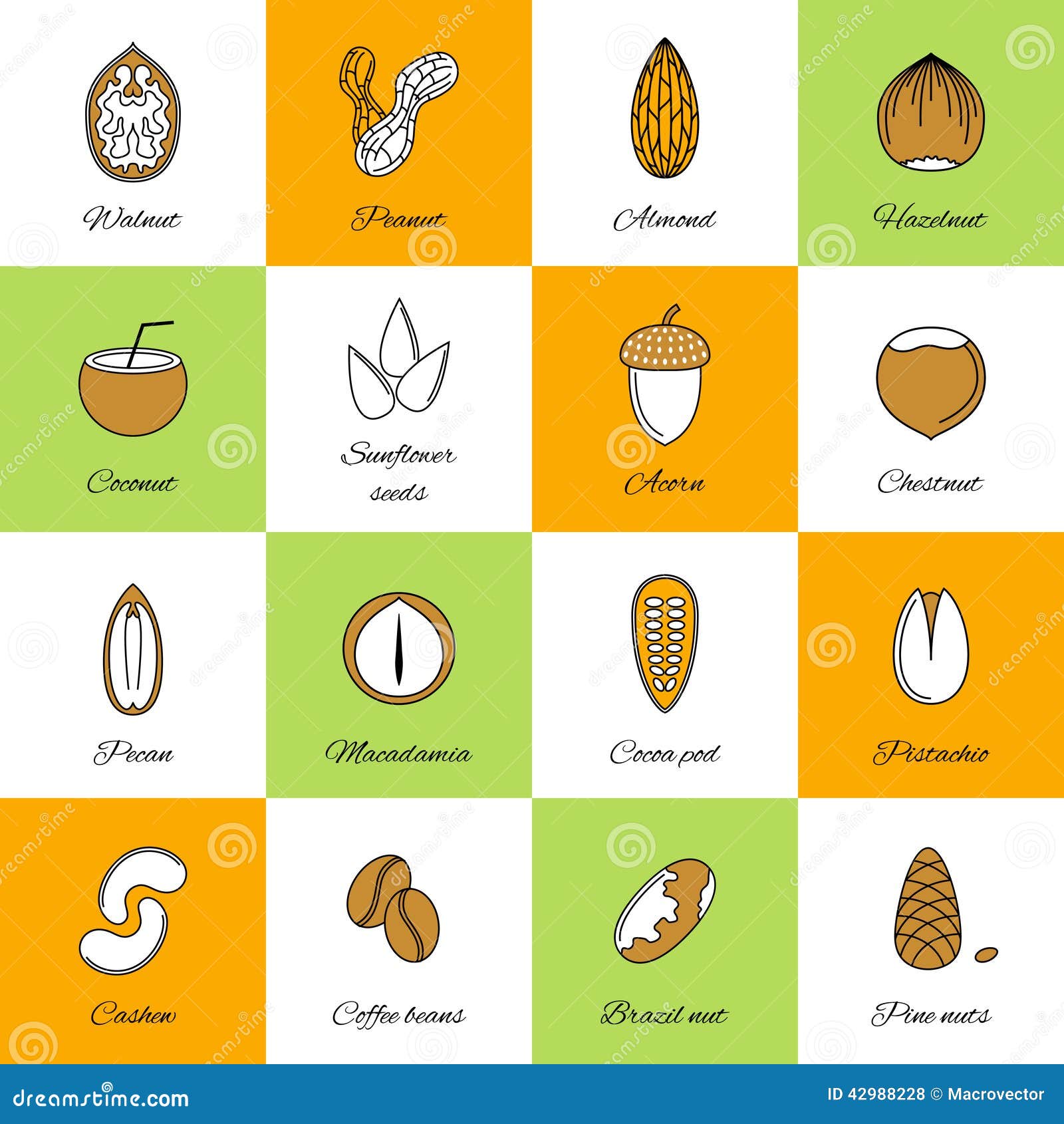 Sistema de iconos nuts ilustración del vector. Ilustración de iconos ...