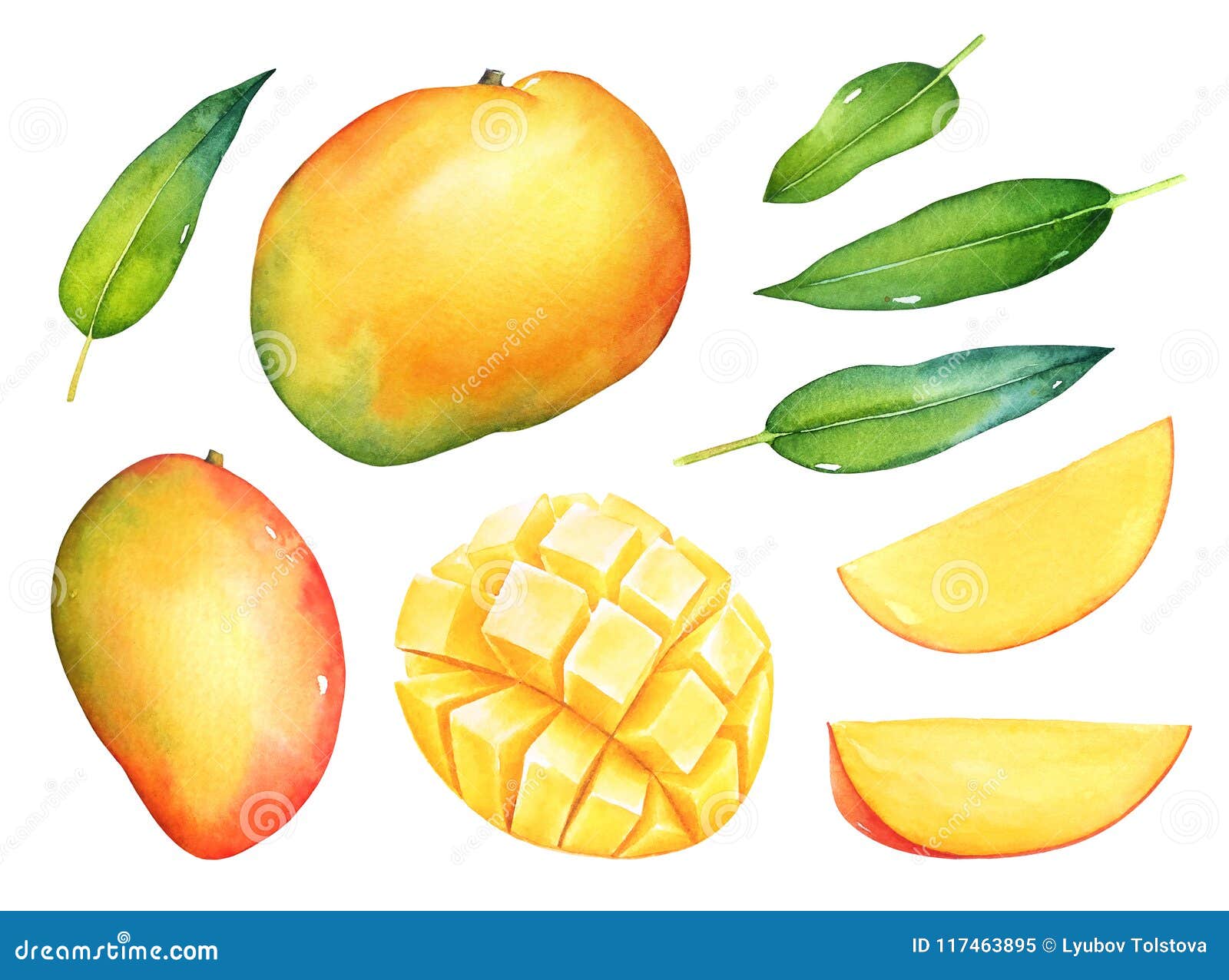Sistema De La Acuarela De Frutas Del Mango Stock de ilustración ...
