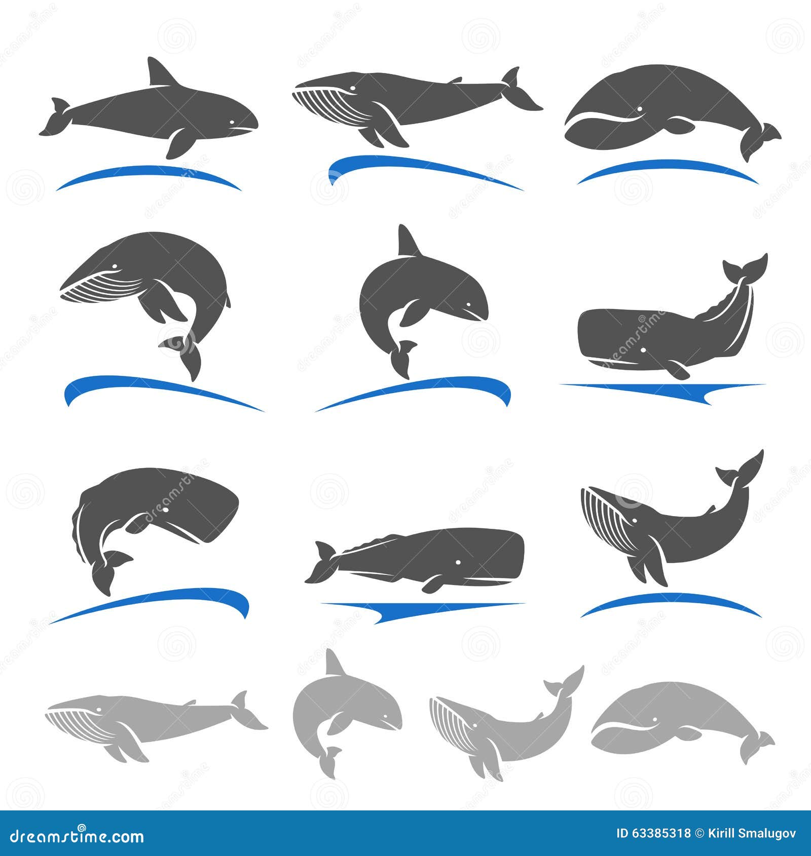 Sistema De La Ballena Vector Ilustración del Vector - Ilustración de ...