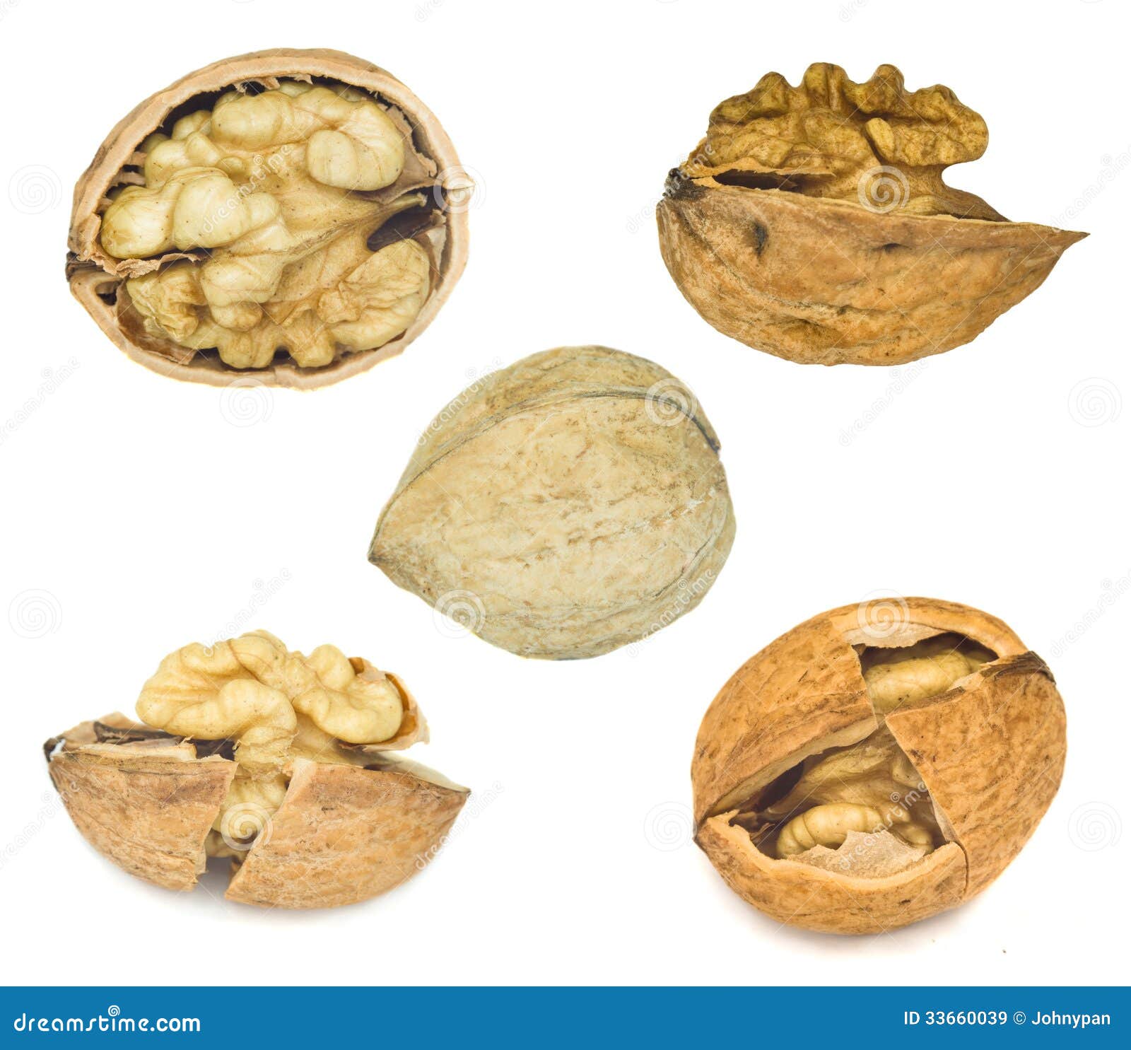 Sistema de la nuez imagen de archivo. Imagen de aislado - 33660039
