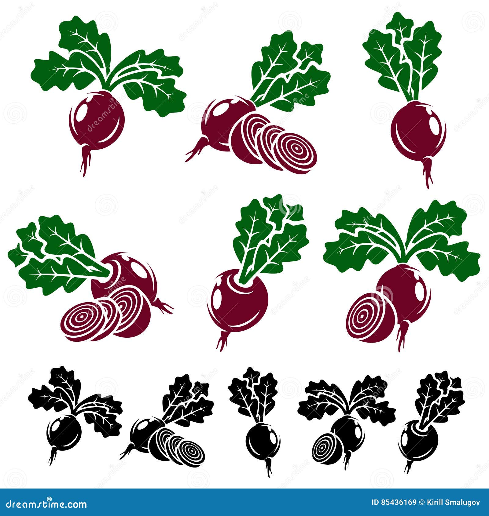 Sistema De La Remolacha Vector Ilustración del Vector - Ilustración de ...