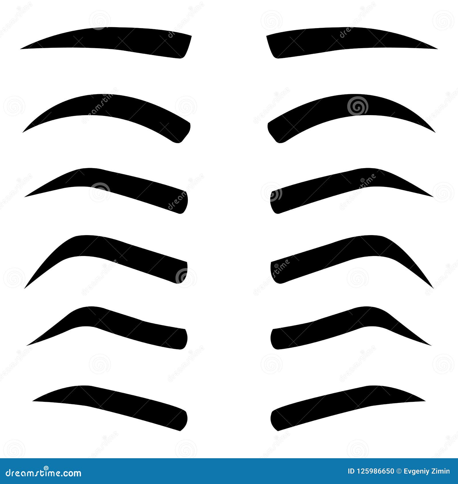 Sistema De Los Diversos Tipos Cejas Aisladas Ilustración del Vector ...