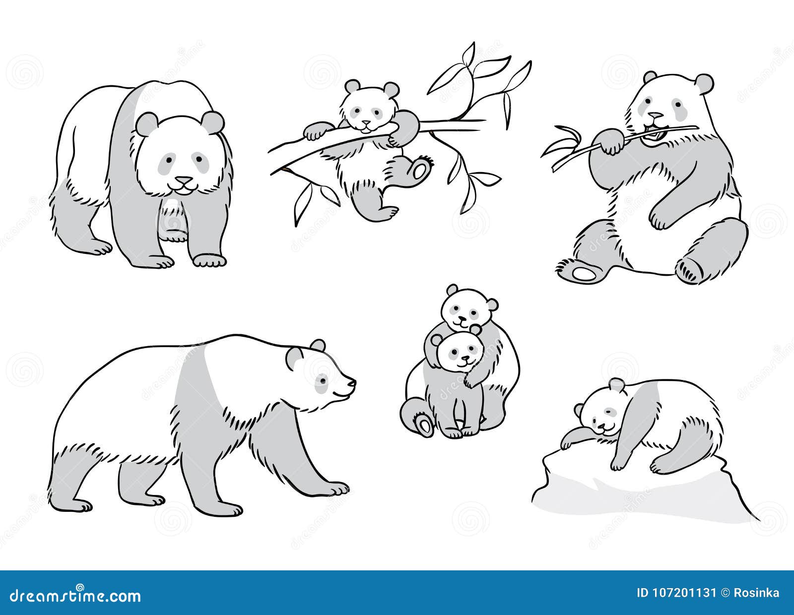Sistema De Pandas En El Ejemplo Del Vector De Los Esquemas Ilustración ... Sistema De Pandas En El Ejemplo Del Vector De Los Esquemas Ilustración ...