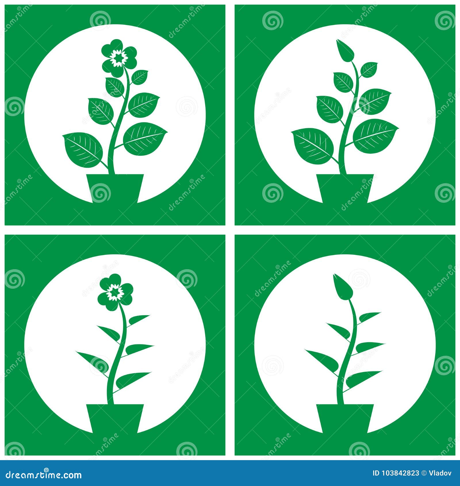 Sistema De Plantas Interiores Del Vector Ilustración del Vector ...