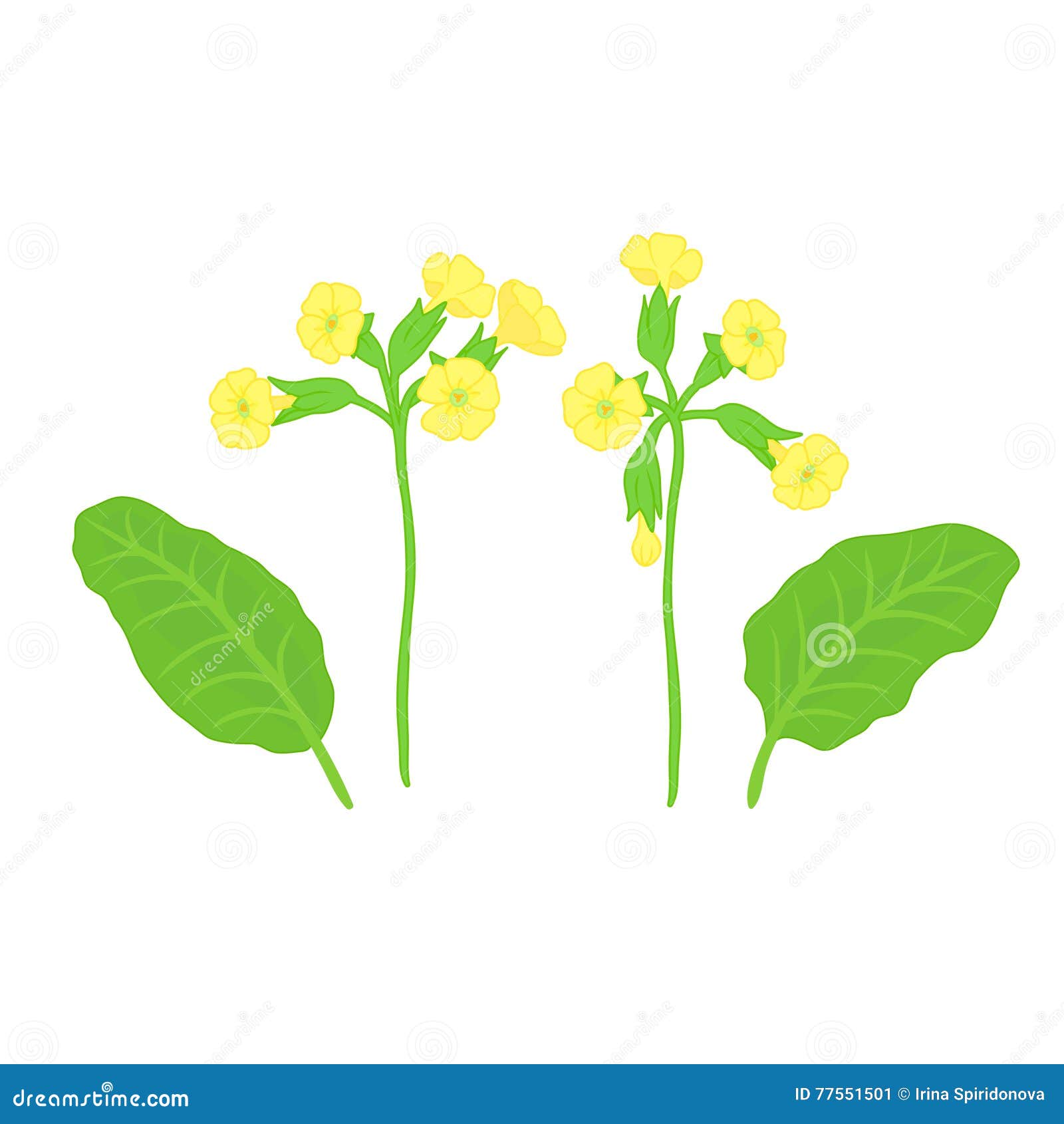 Sistema De Ramitas Del Vector Ilustración del Vector - Ilustración de ...