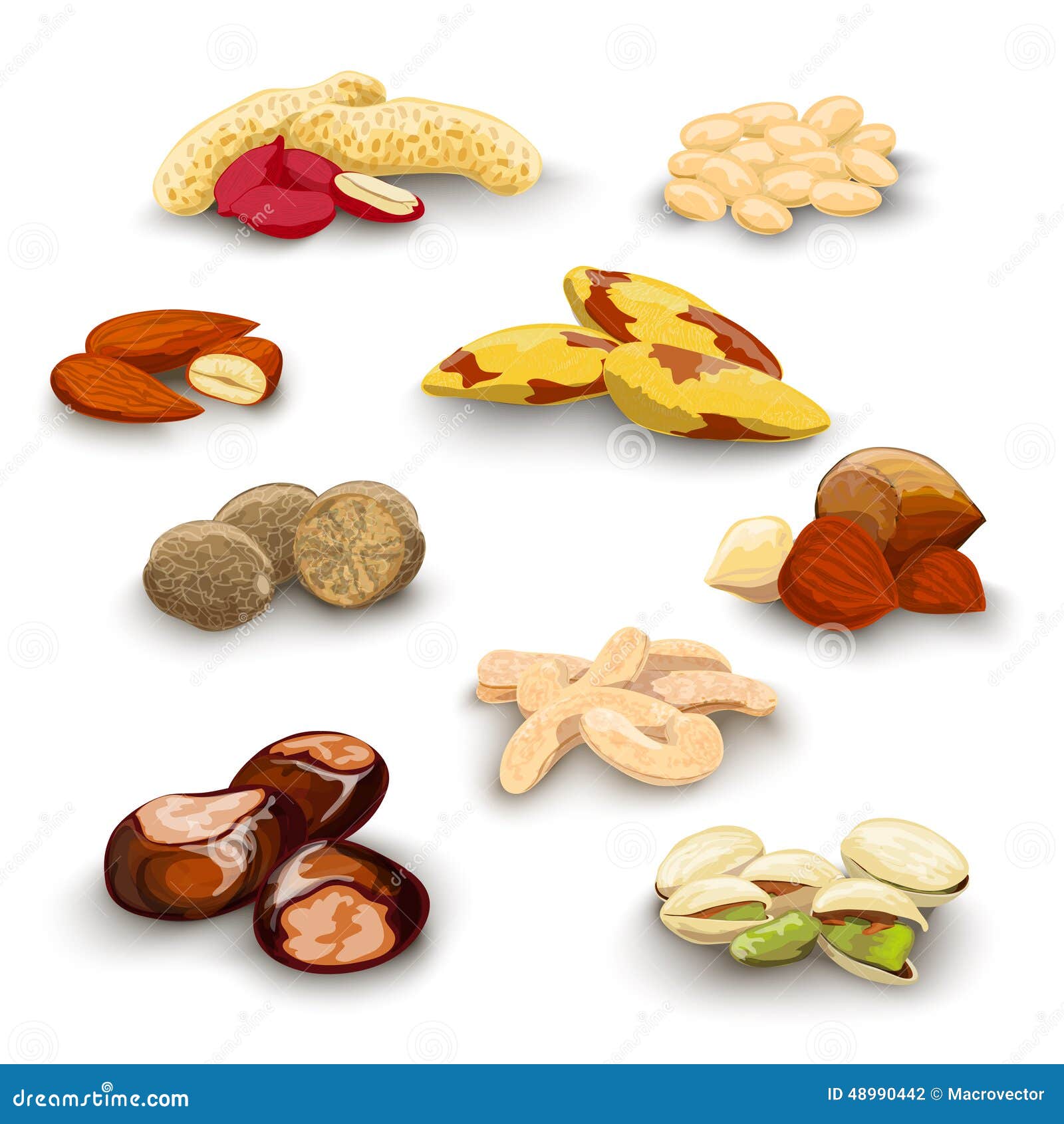 Sistema decorativo Nuts ilustración del vector. Ilustración de ...