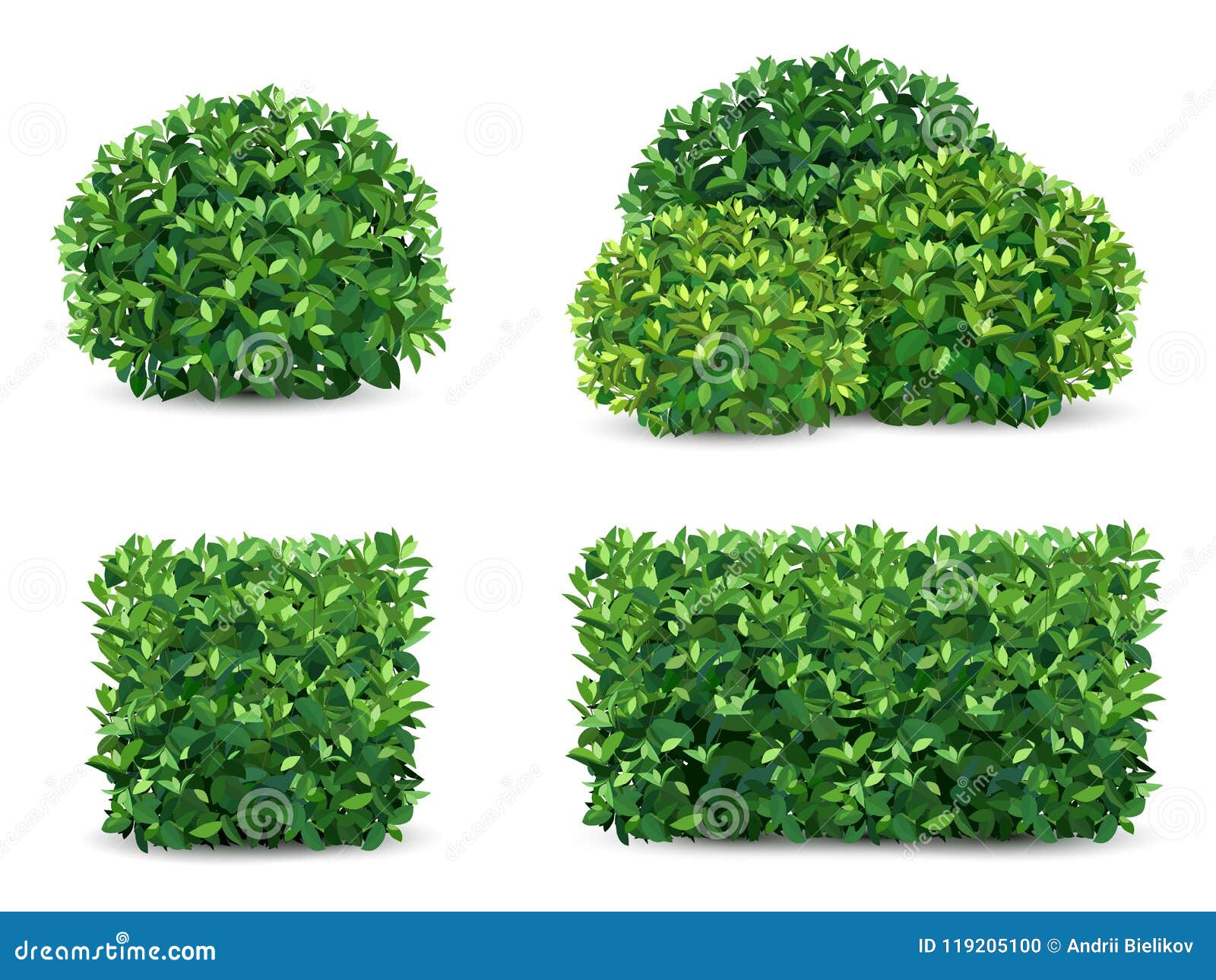 Sistema Del Arbusto Del Vector Ilustración del Vector - Ilustración de ...