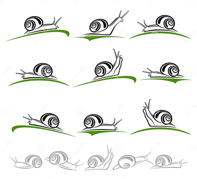 Sistema del caracol Vector ilustración del vector. Ilustración de ...