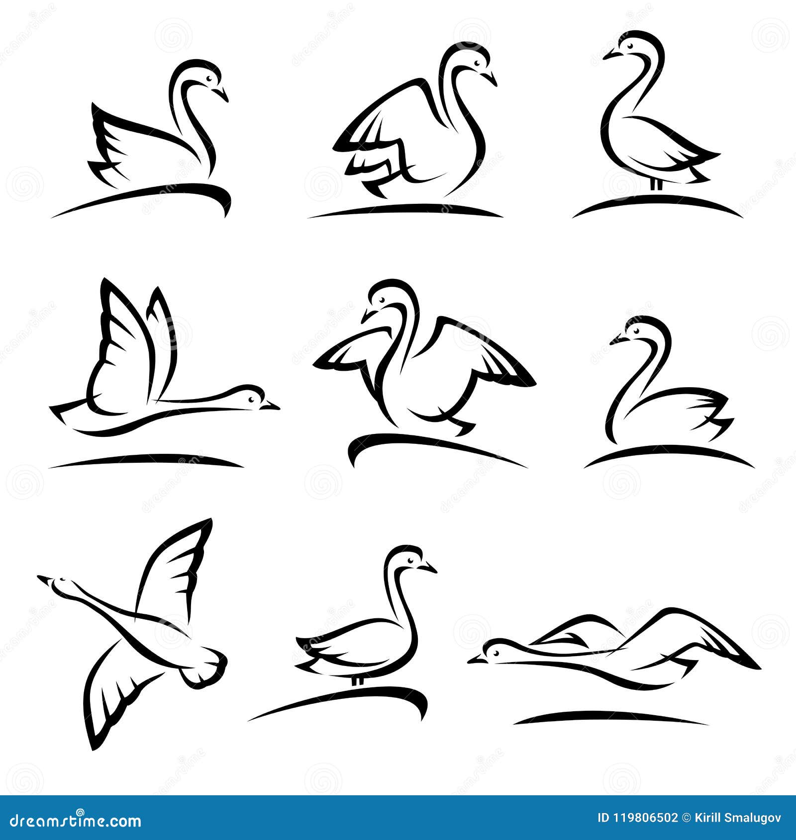 Sistema del cisne Vector ilustración del vector. Ilustración de aire ...
