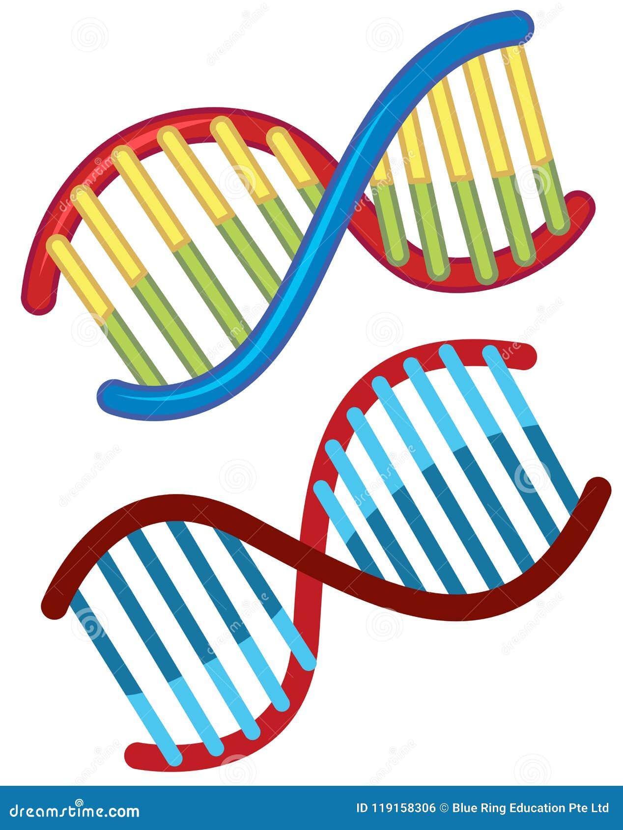 Sistema Del Diagrama De La DNA Stock de ilustración - Ilustración de ...