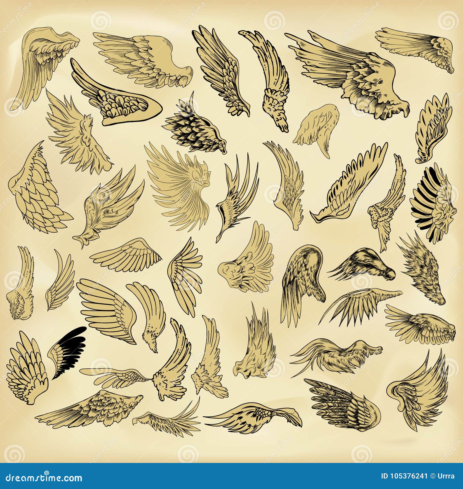 Sistema Del Ejemplo De Las Alas Ilustración del Vector - Ilustración de ...